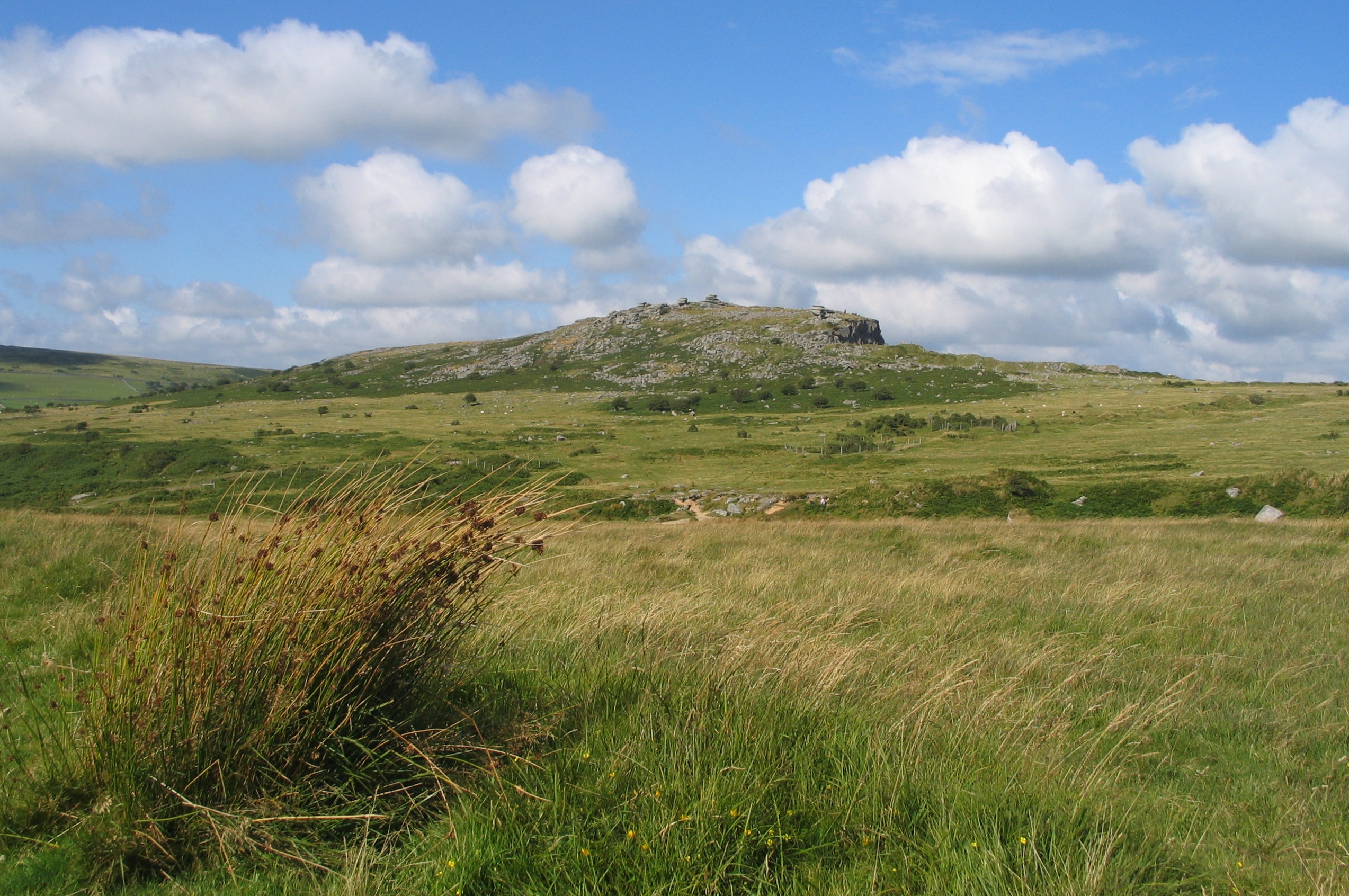 The Cheesewring Photos