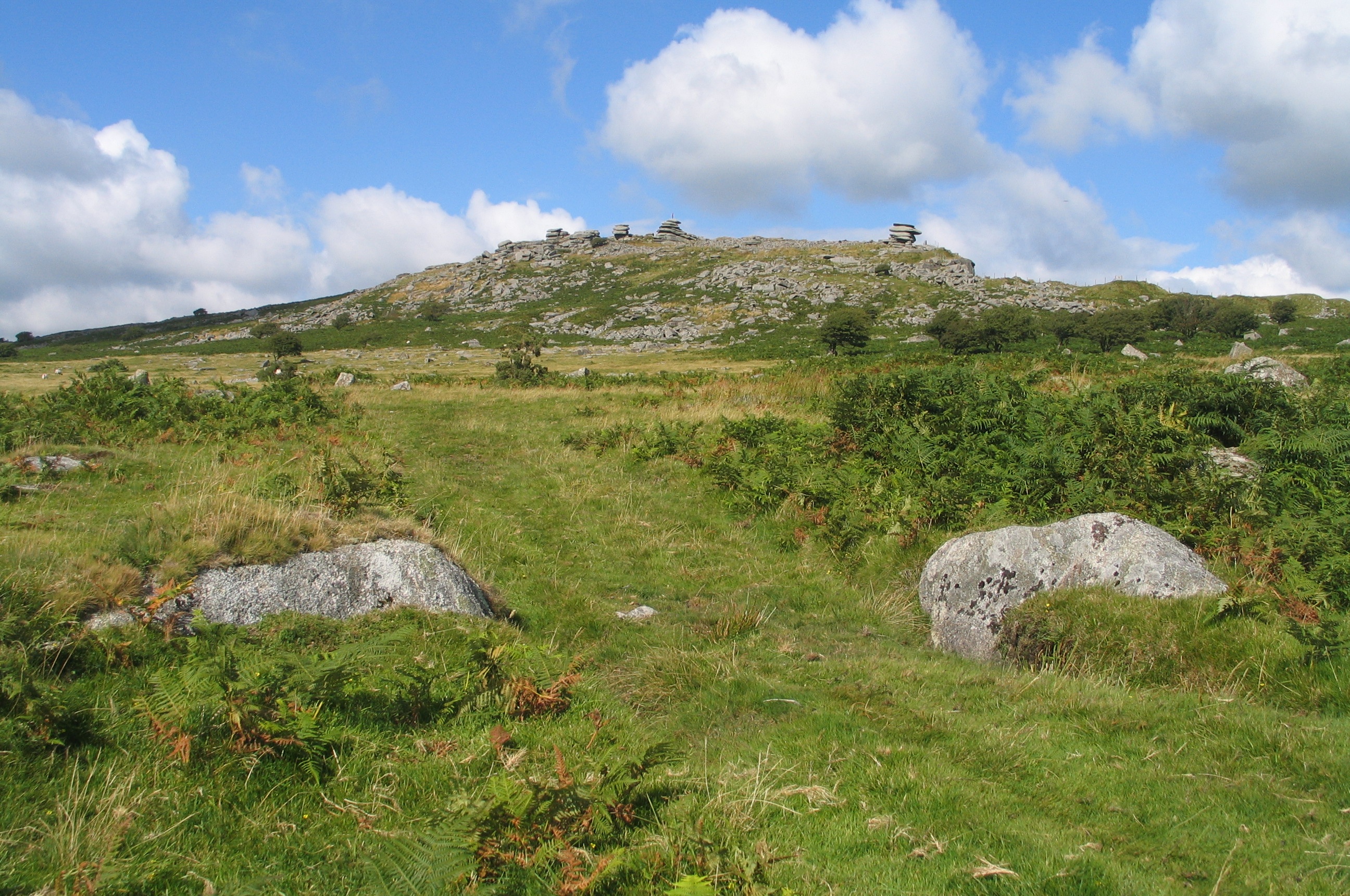 The Cheesewring Photos