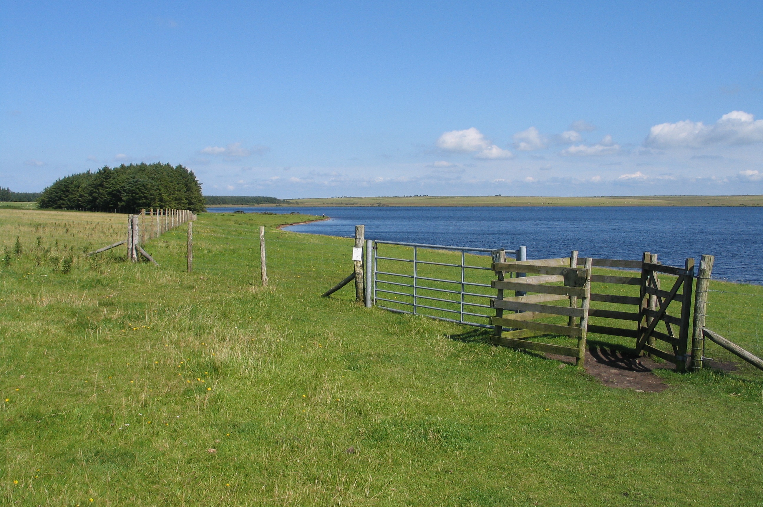 Crowdy Reservoir Photos