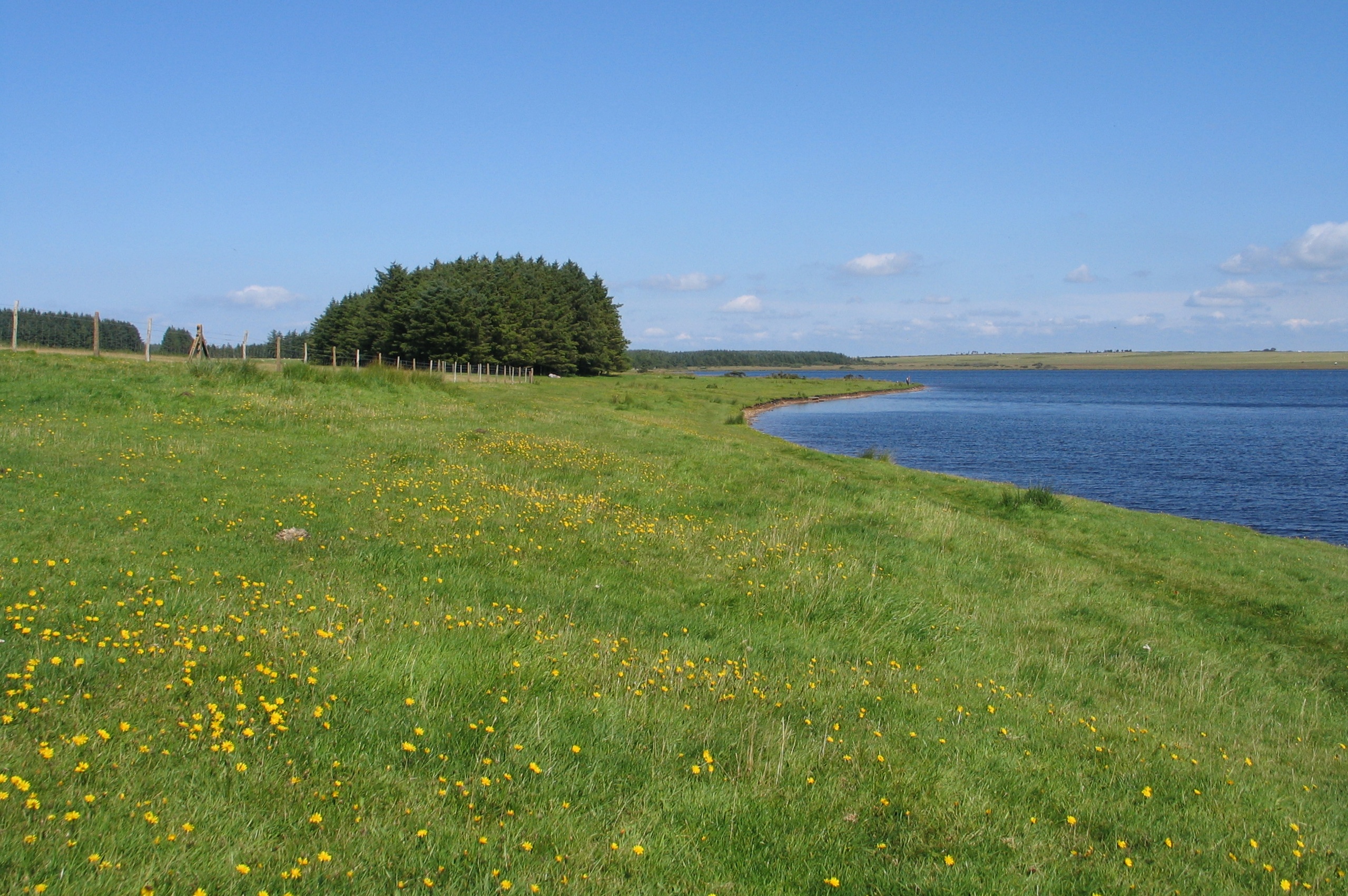 Crowdy Reservoir Photos