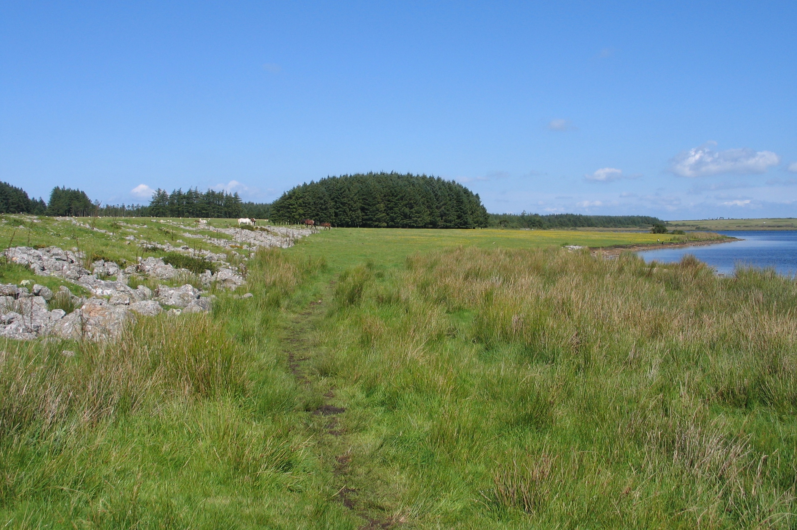 Crowdy Reservoir Photos