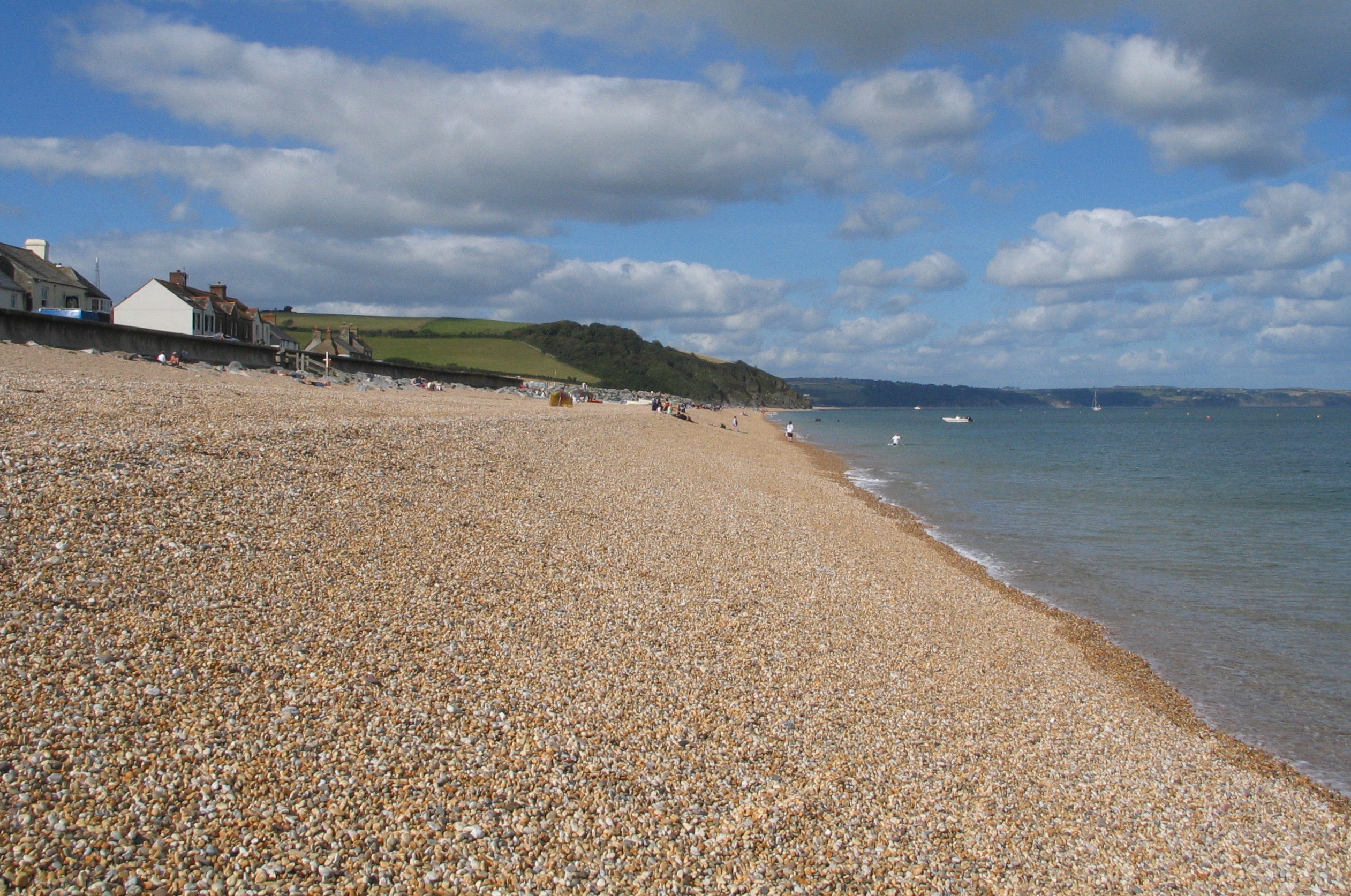 Beesands Photos