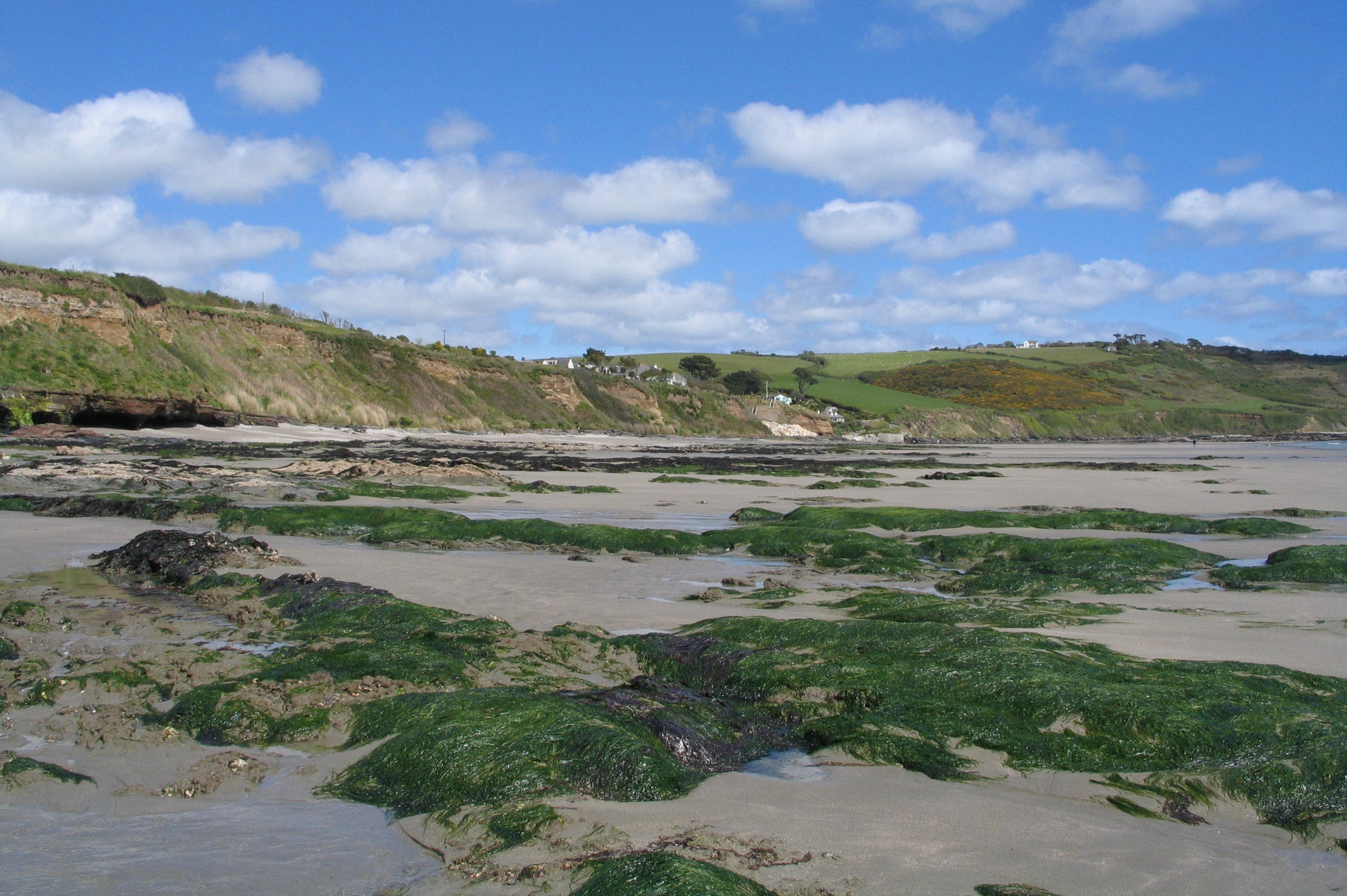 Carne Beach Photos