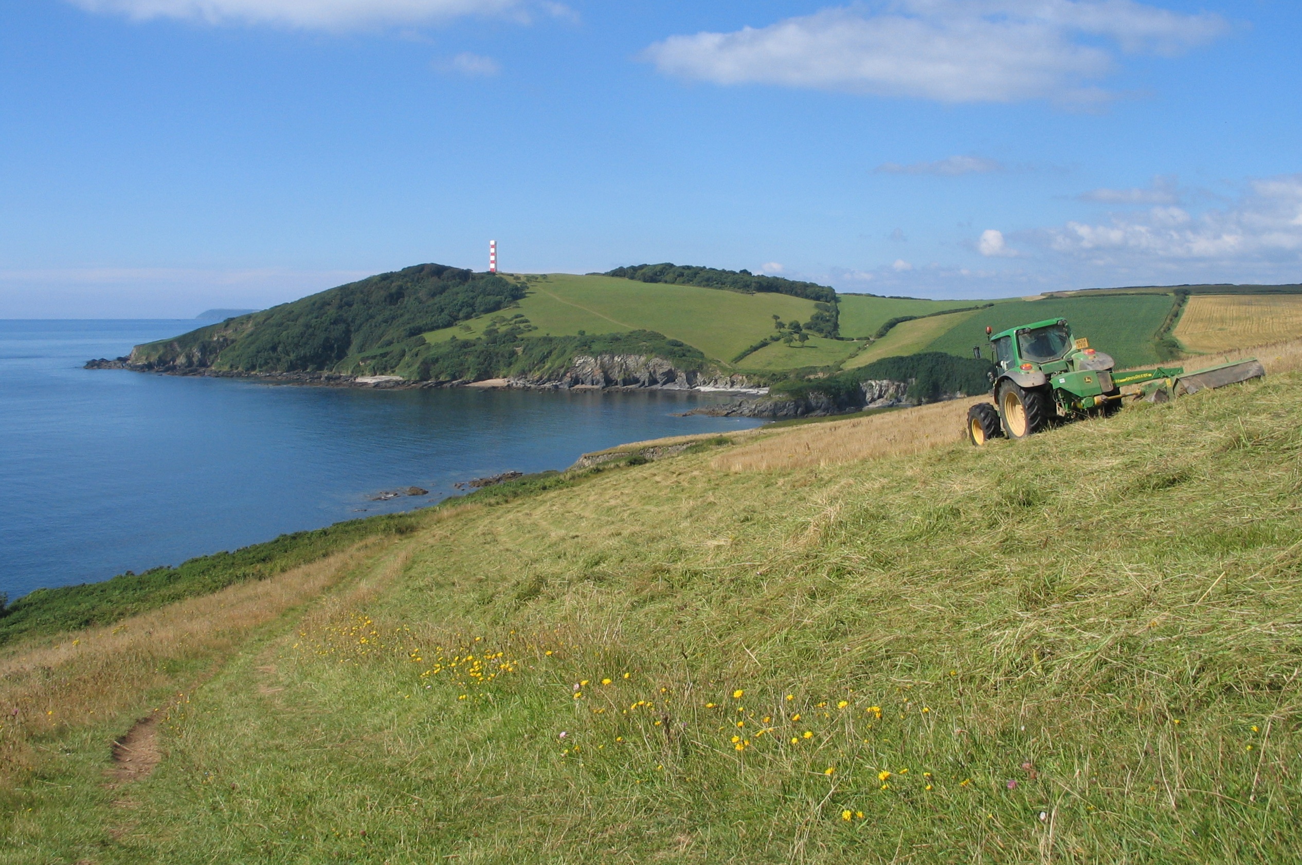 Gribbin Head Photos