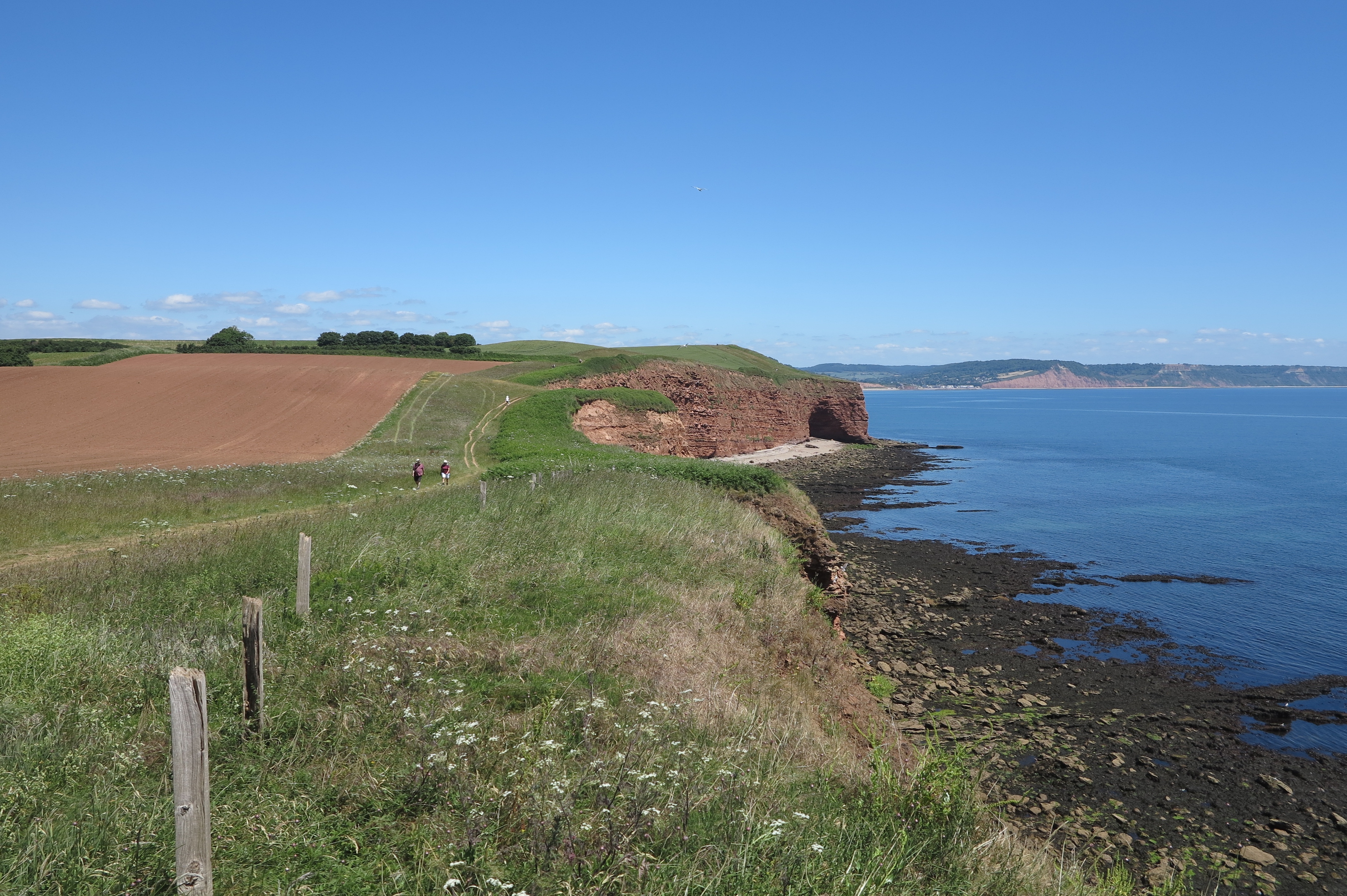 Ladram Bay Photos