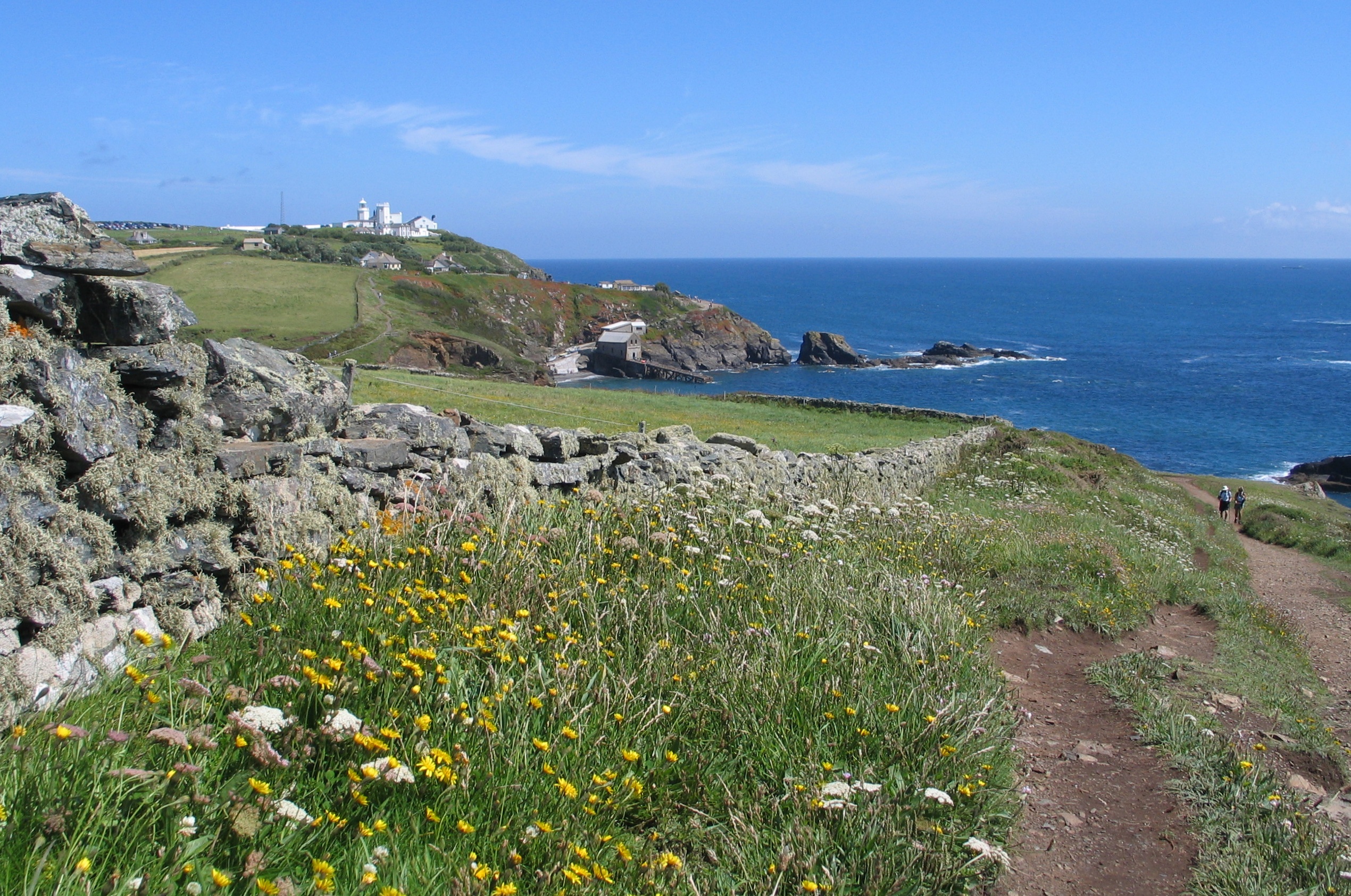 Lizard Point Photos