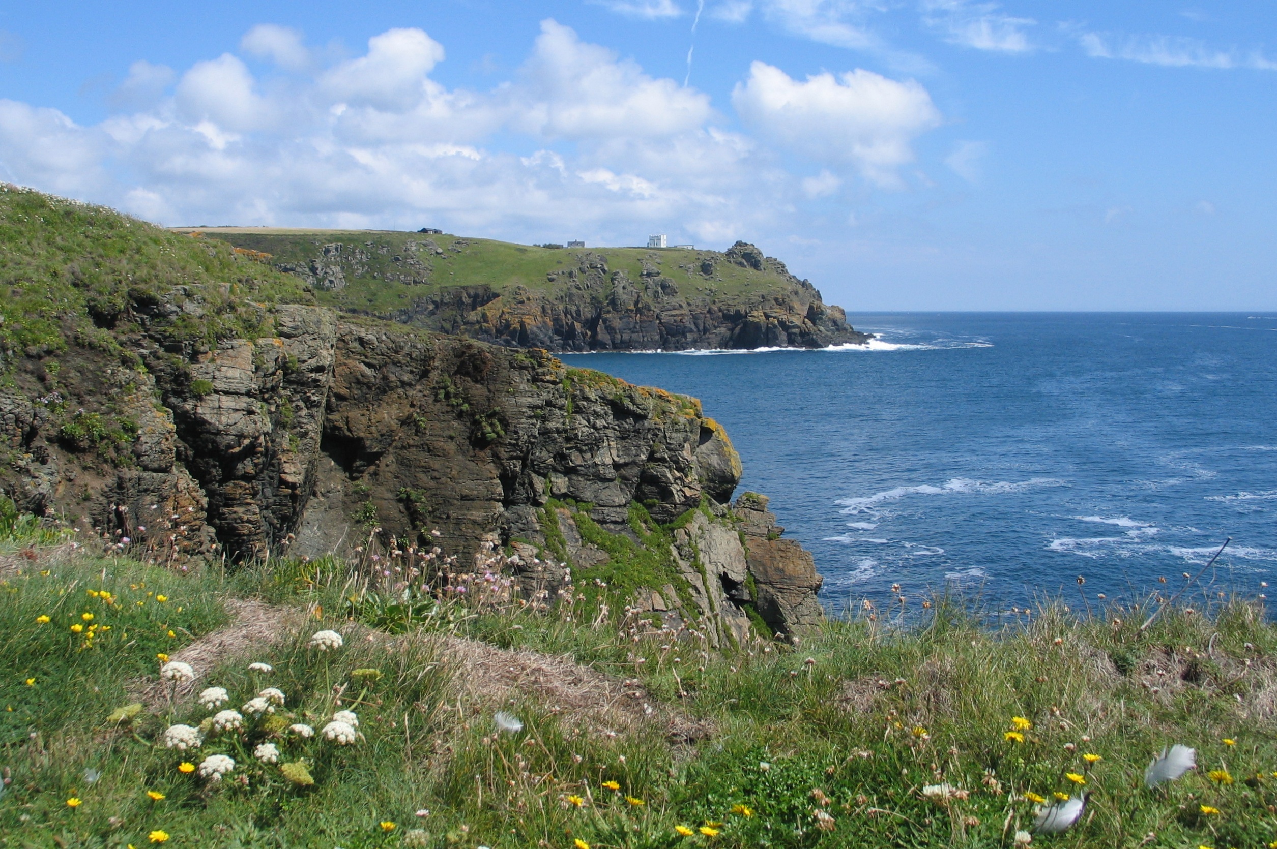 Lizard Point Photos