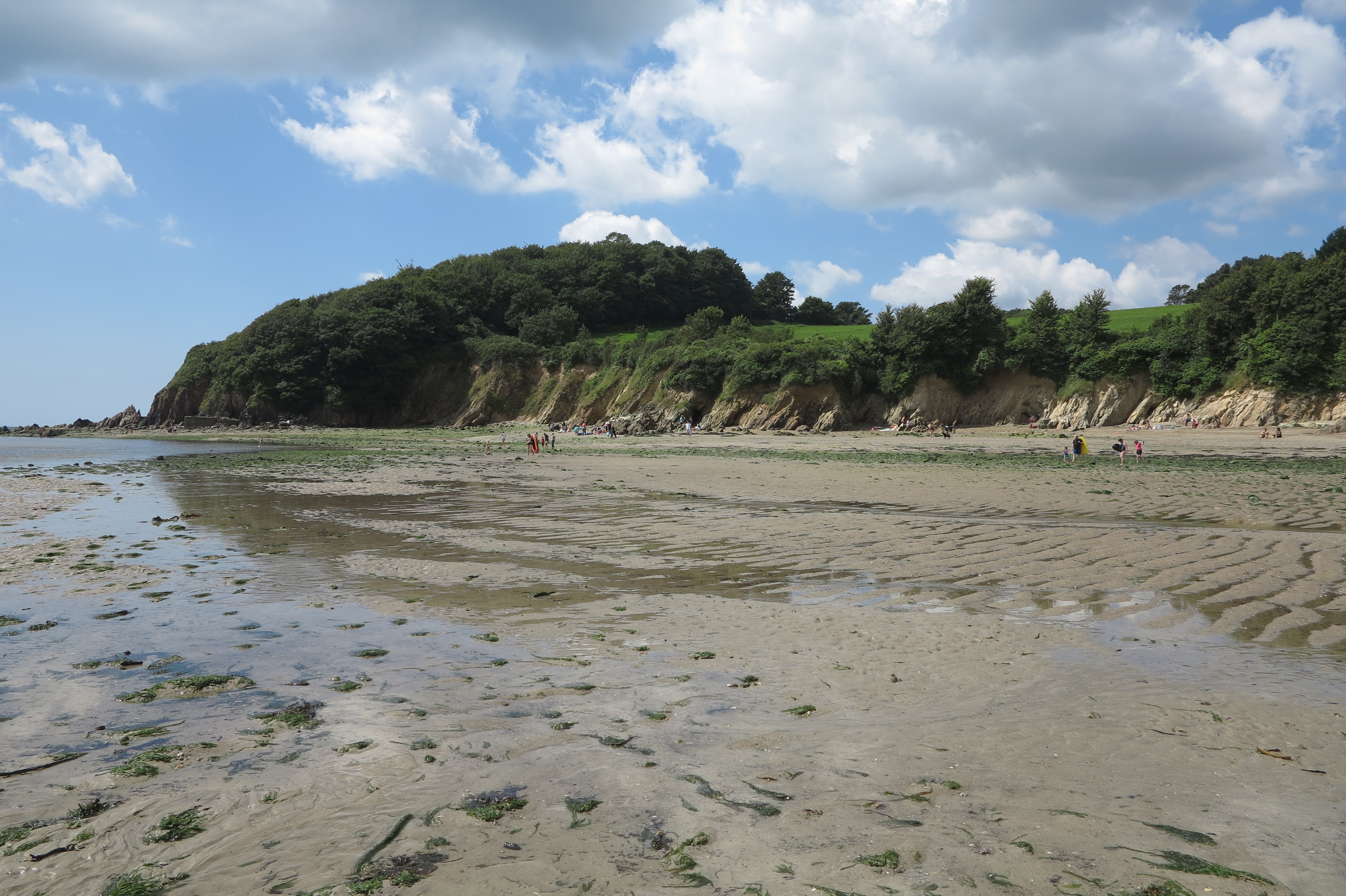 Mothecombe Photos