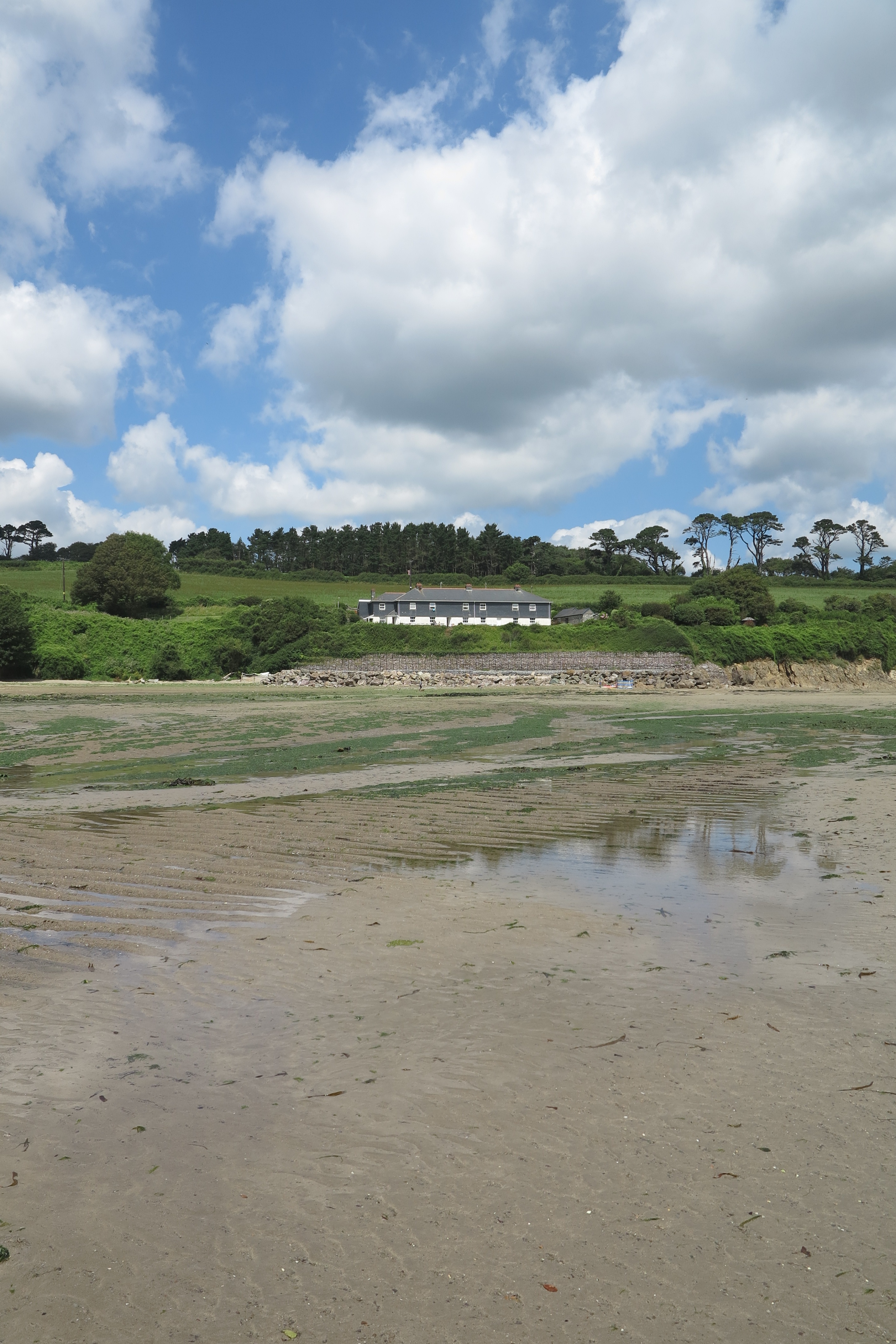 Mothecombe Photos