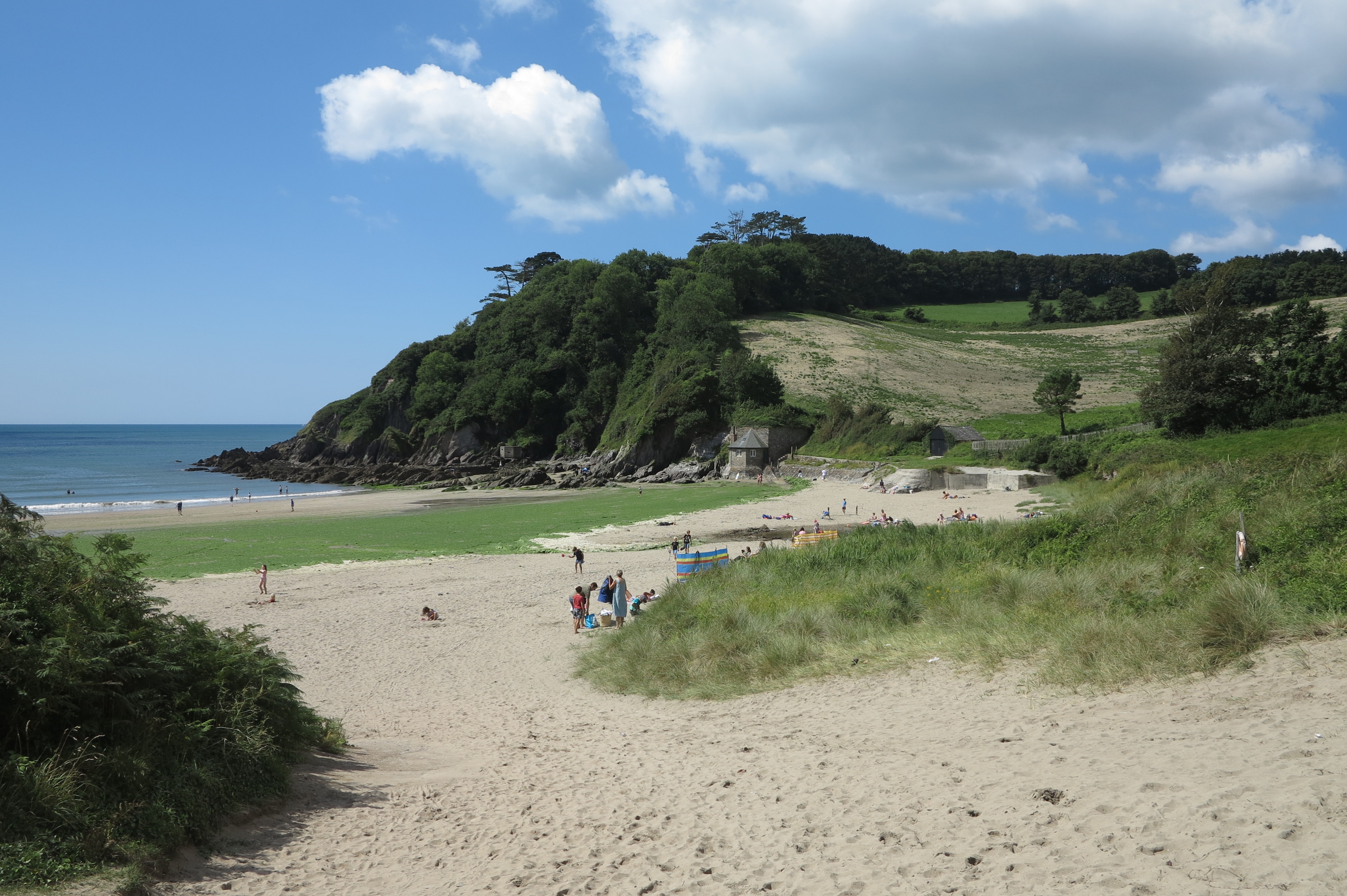 Mothecombe Photos