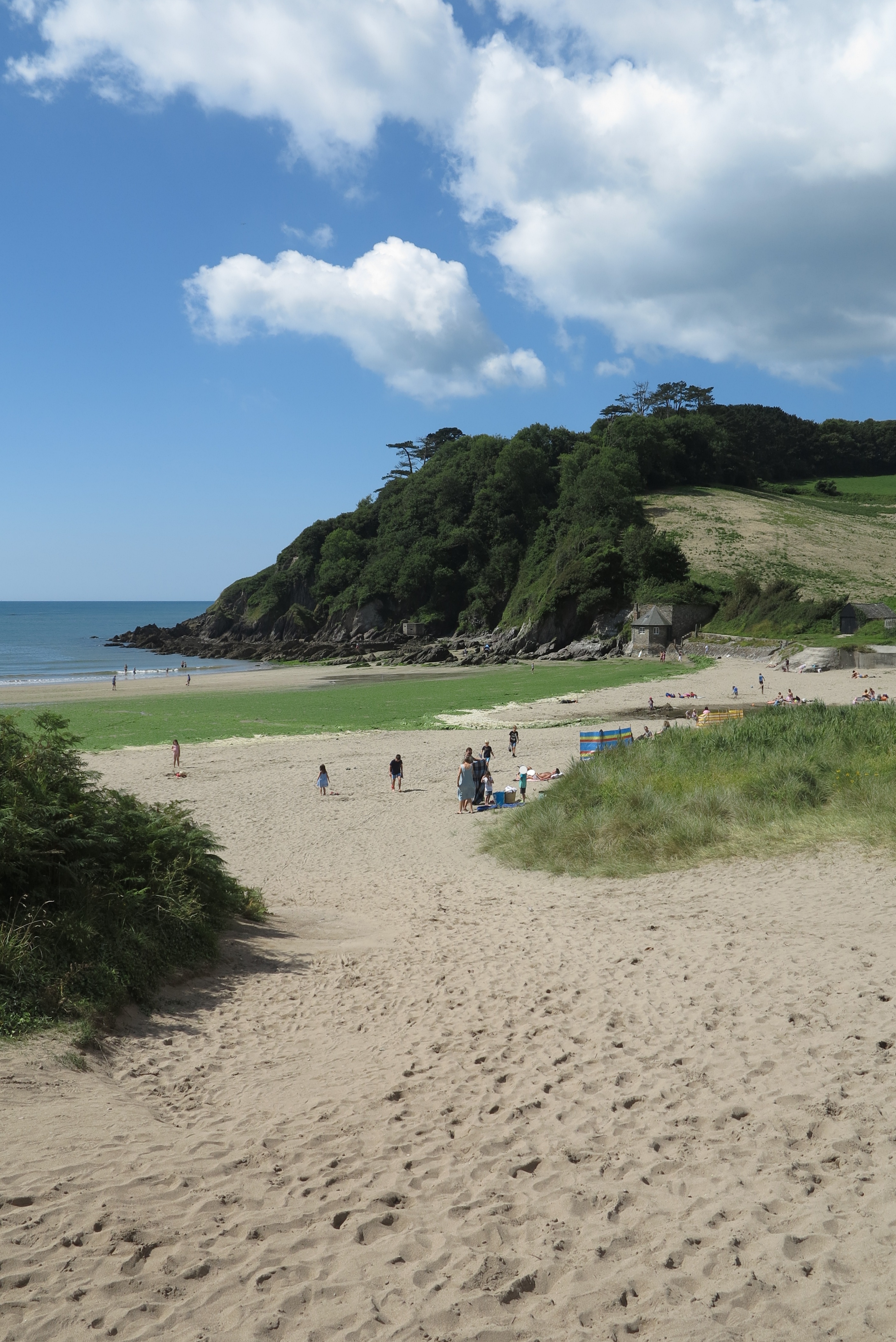 Mothecombe Photos