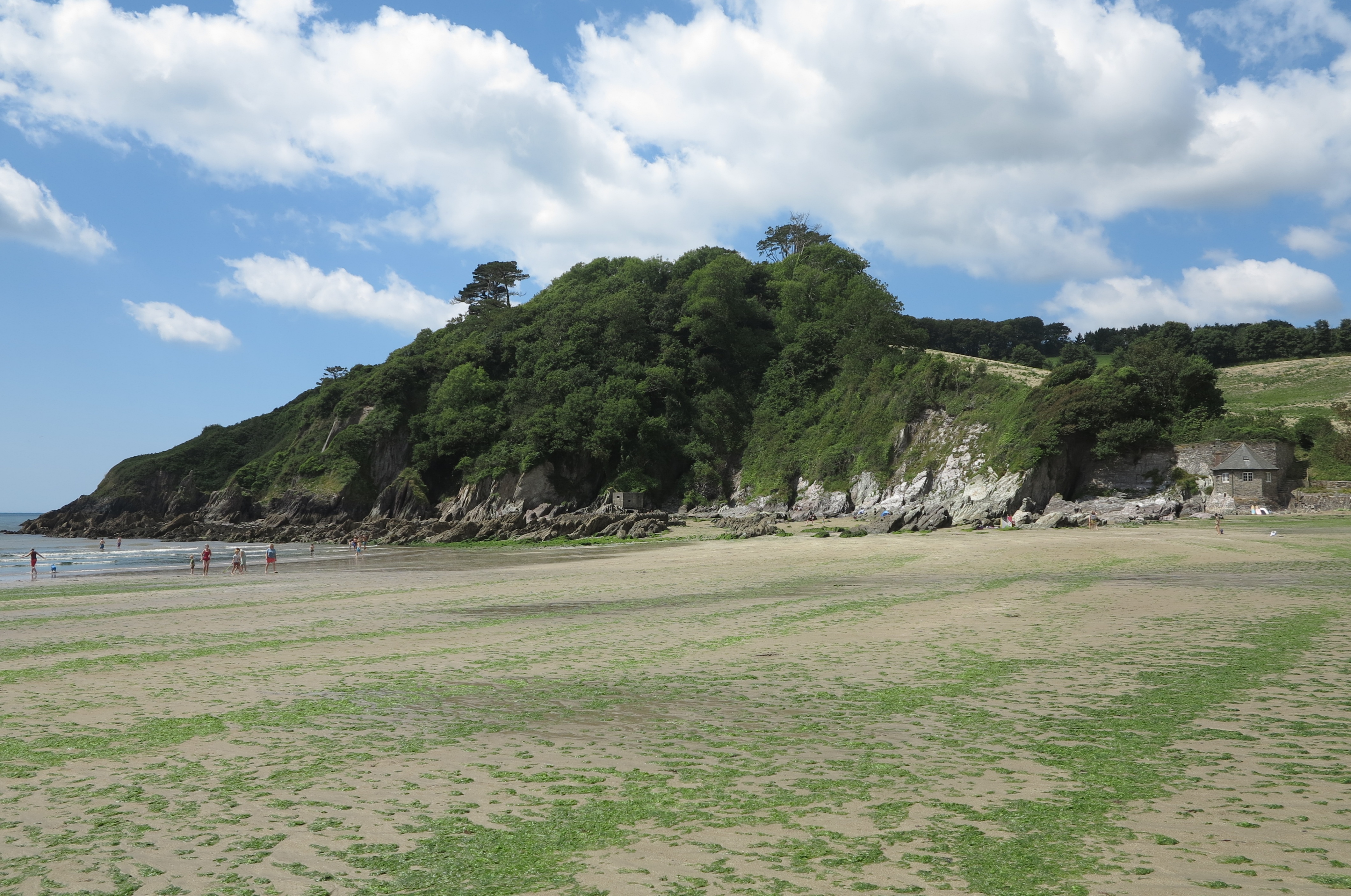 Mothecombe Photos