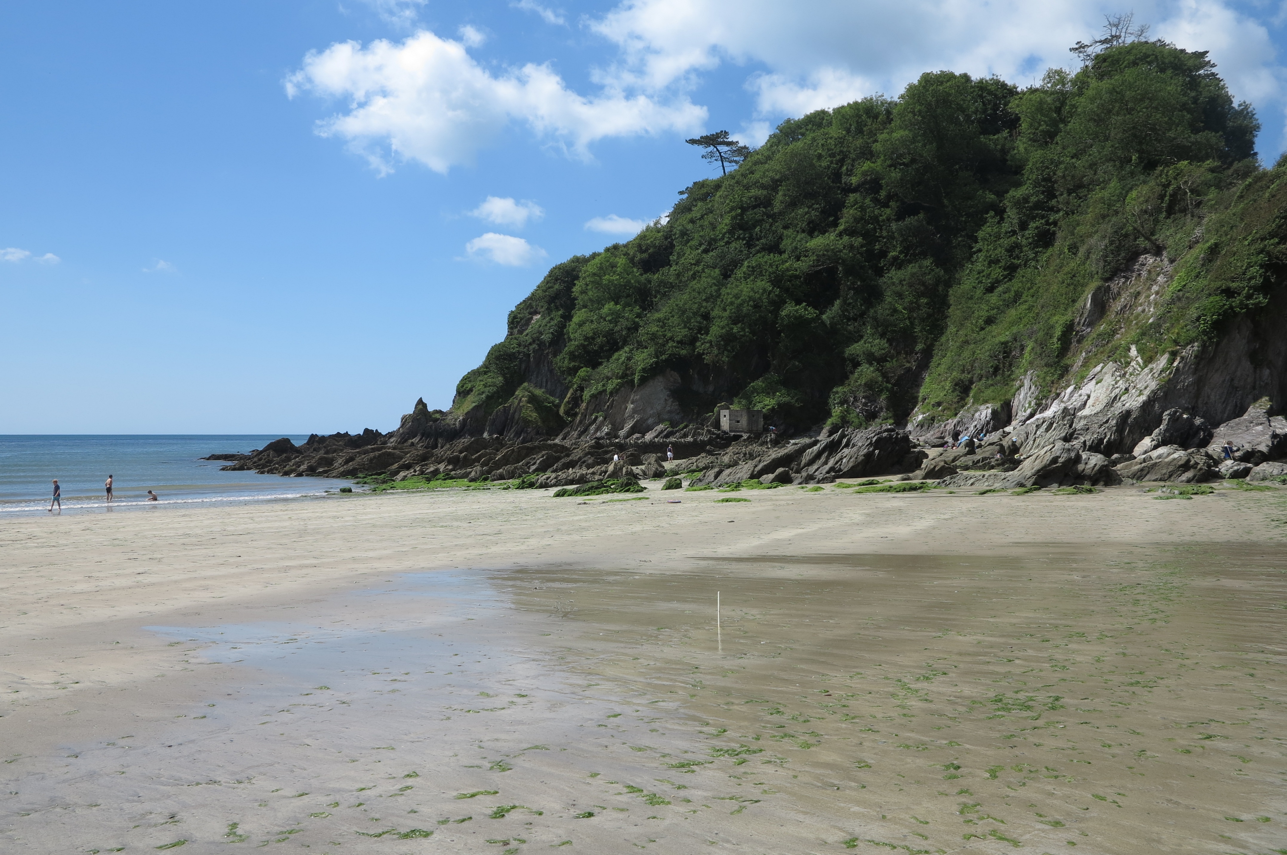 Mothecombe Photos