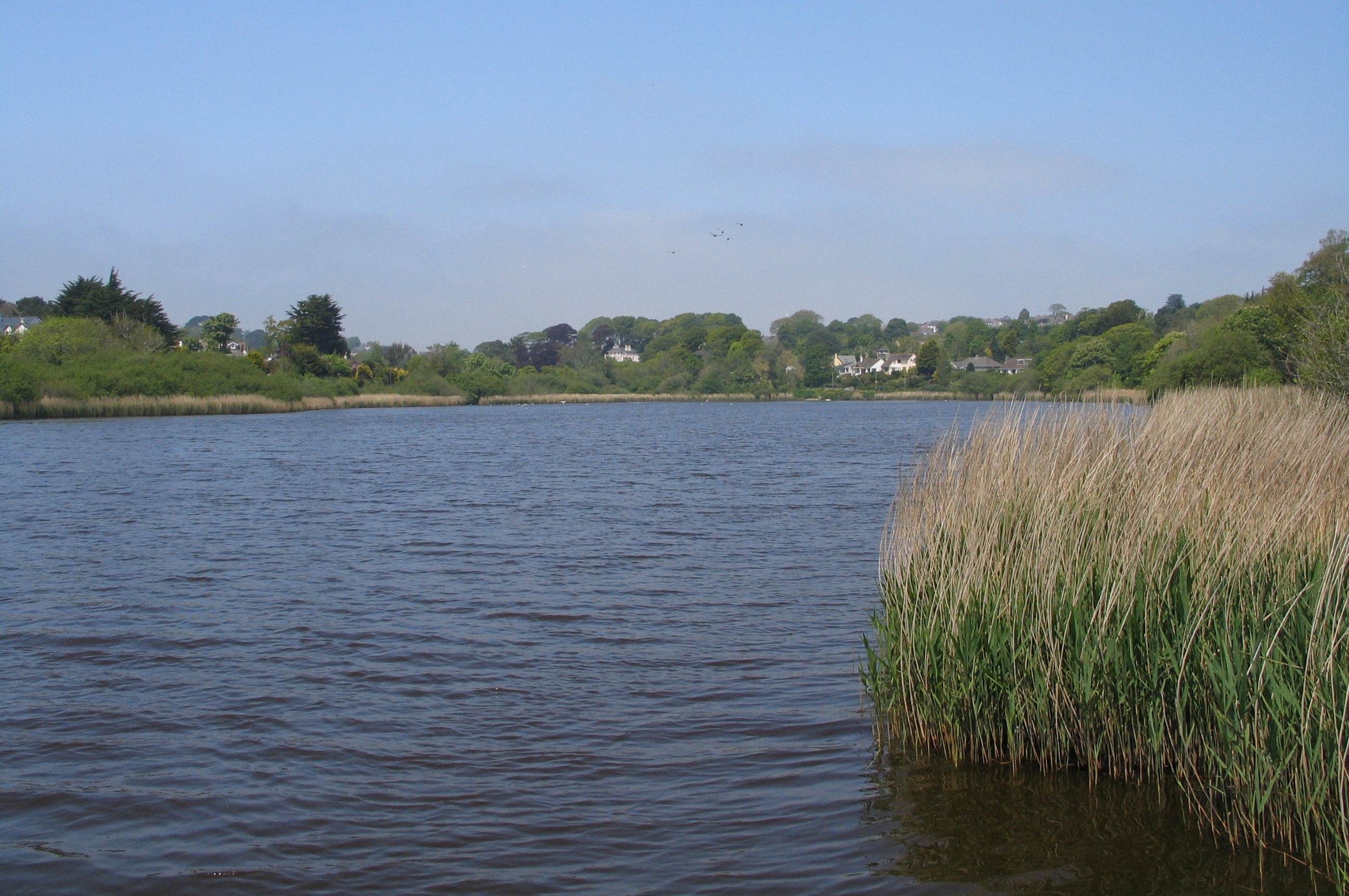 Swanpool Beach Photos