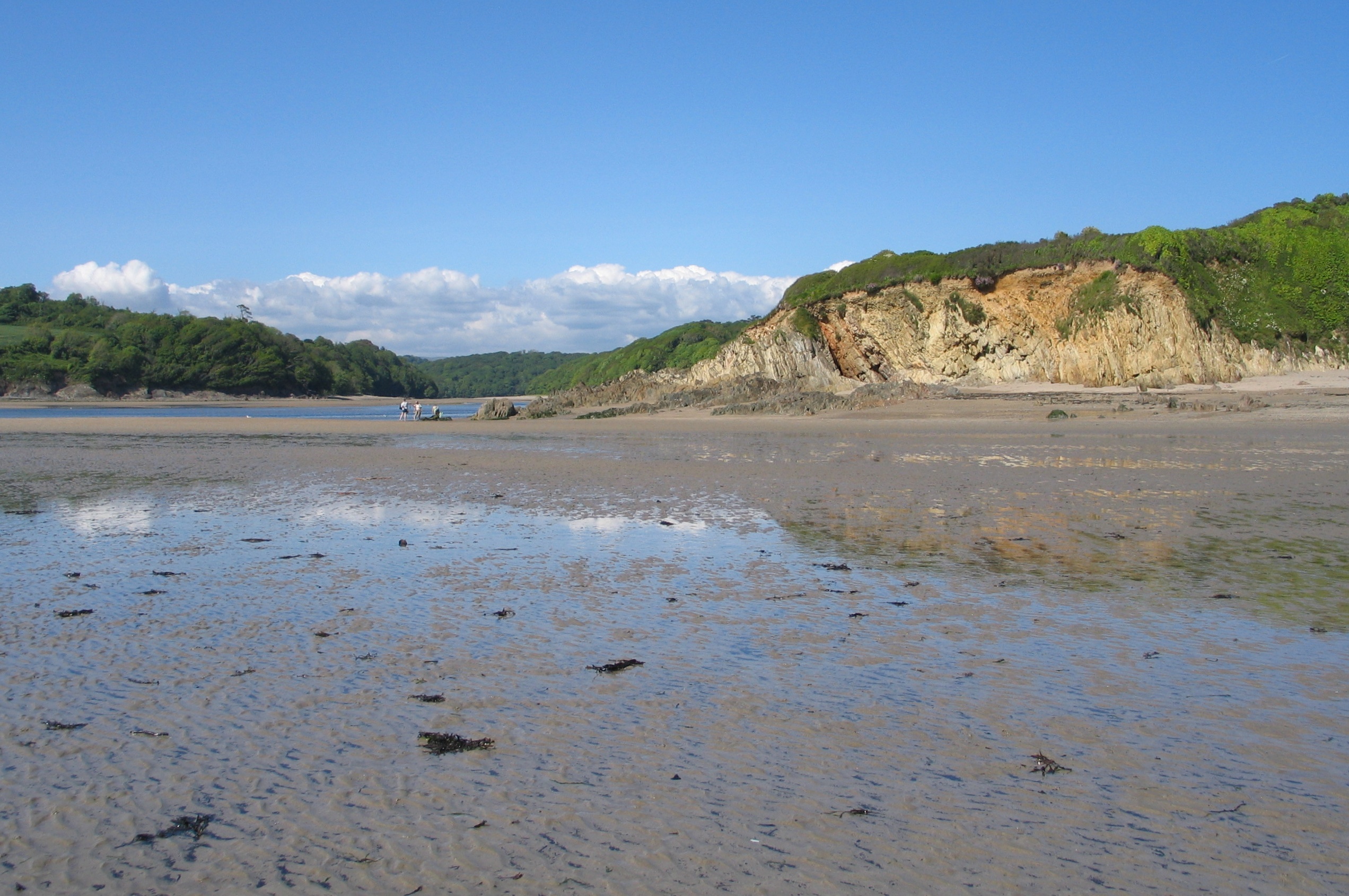 Wonwell Beach Photos