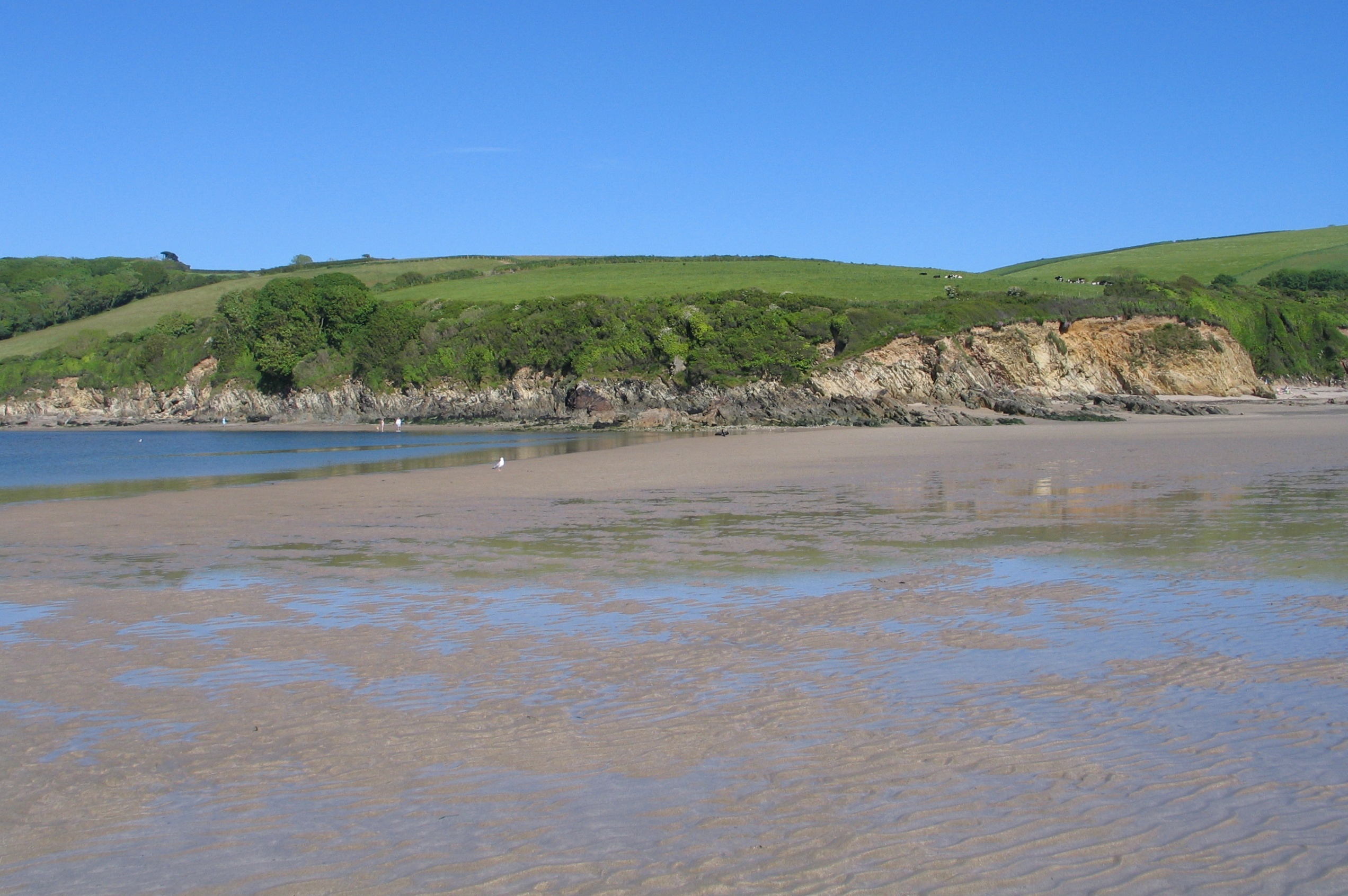 Wonwell Beach Photos