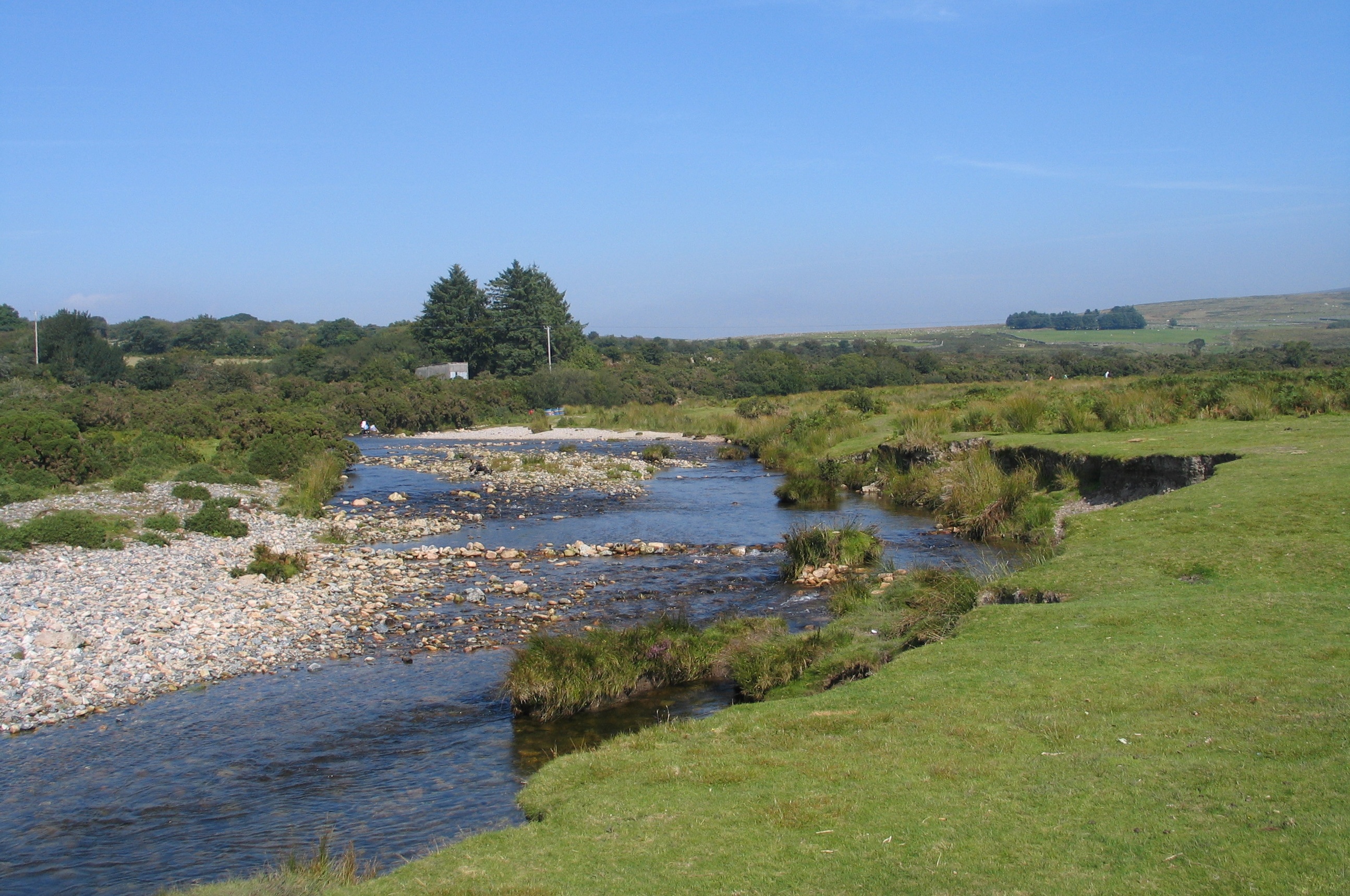 Cadover Photos