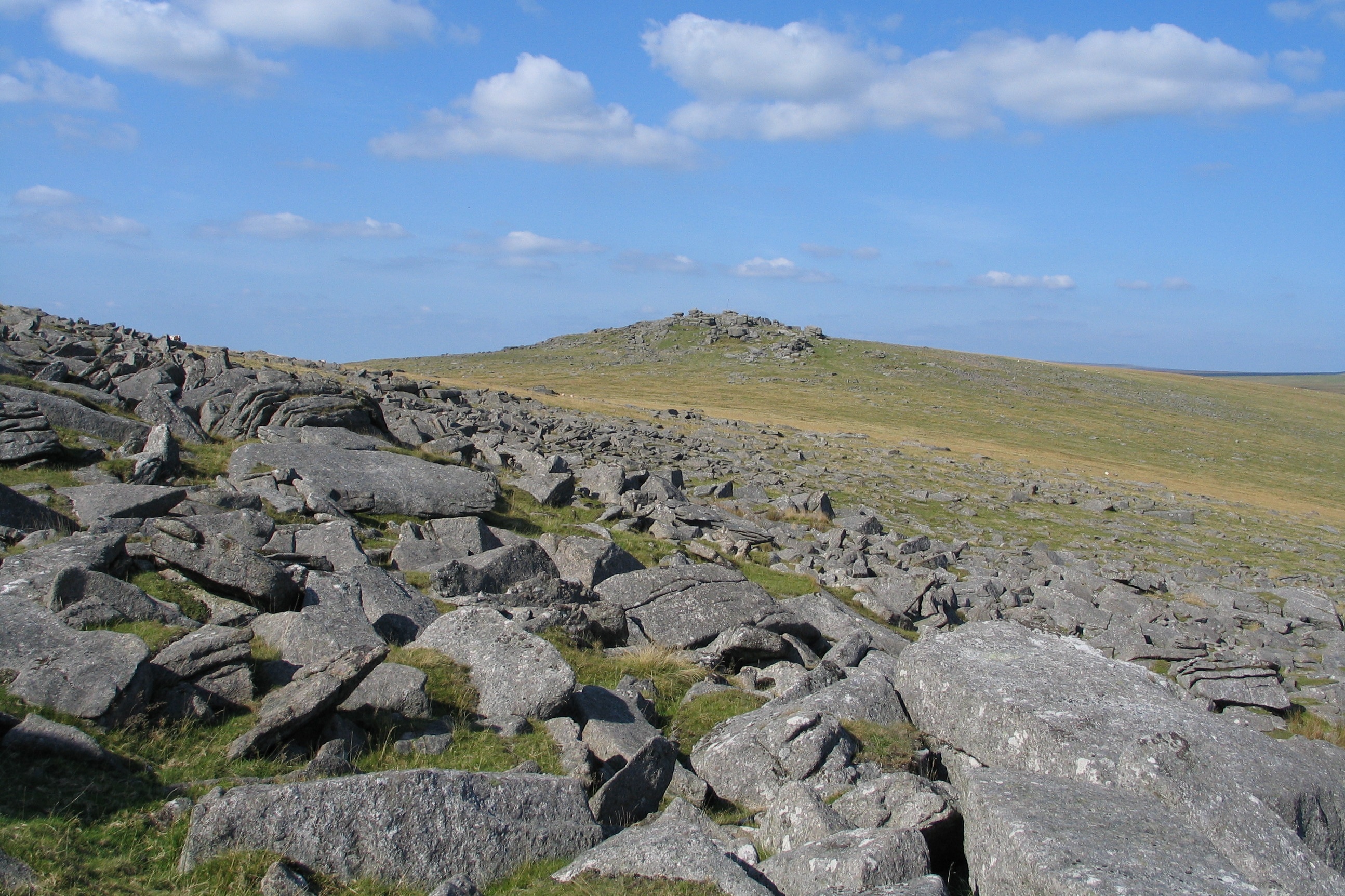 Roos Tor Photos