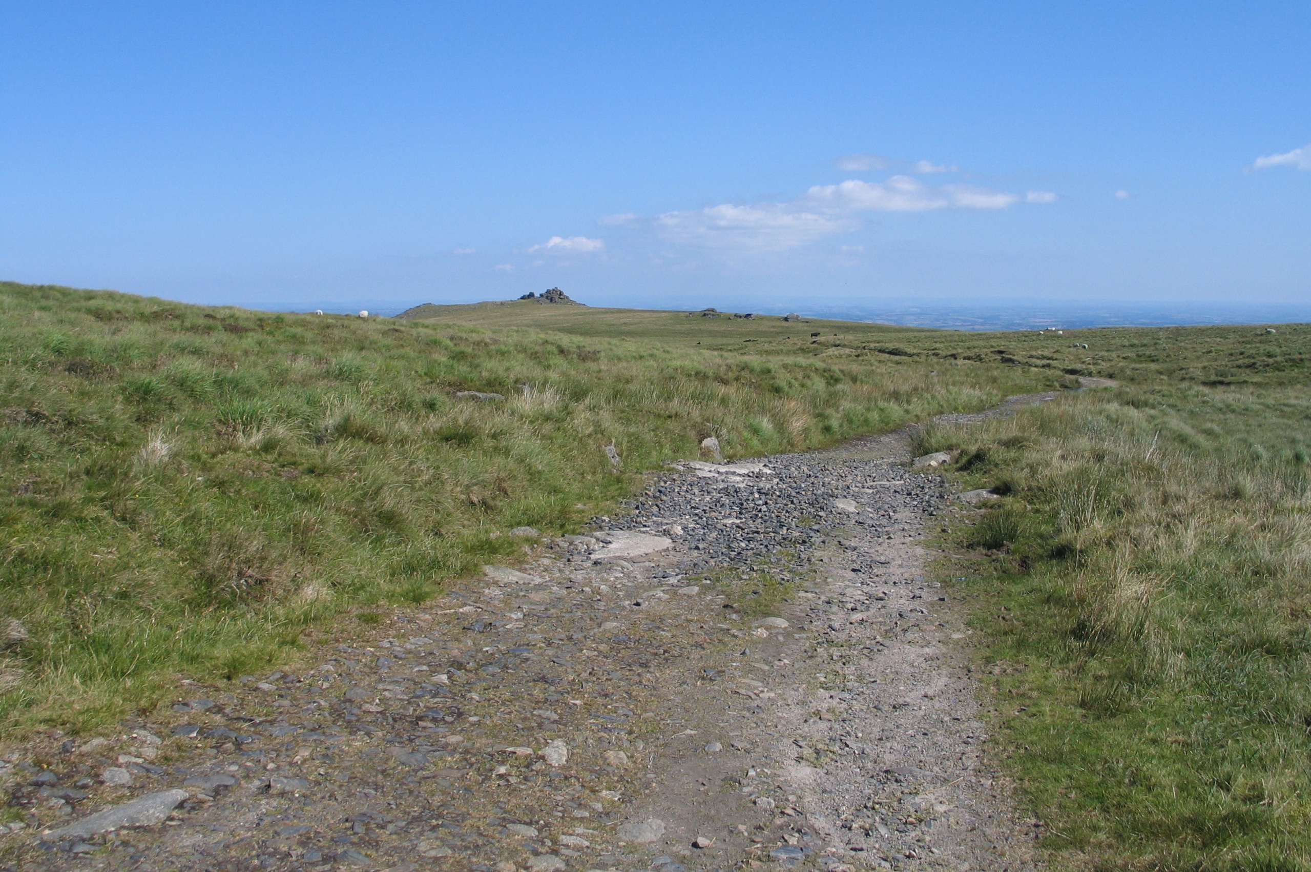West Mill Tor Photos