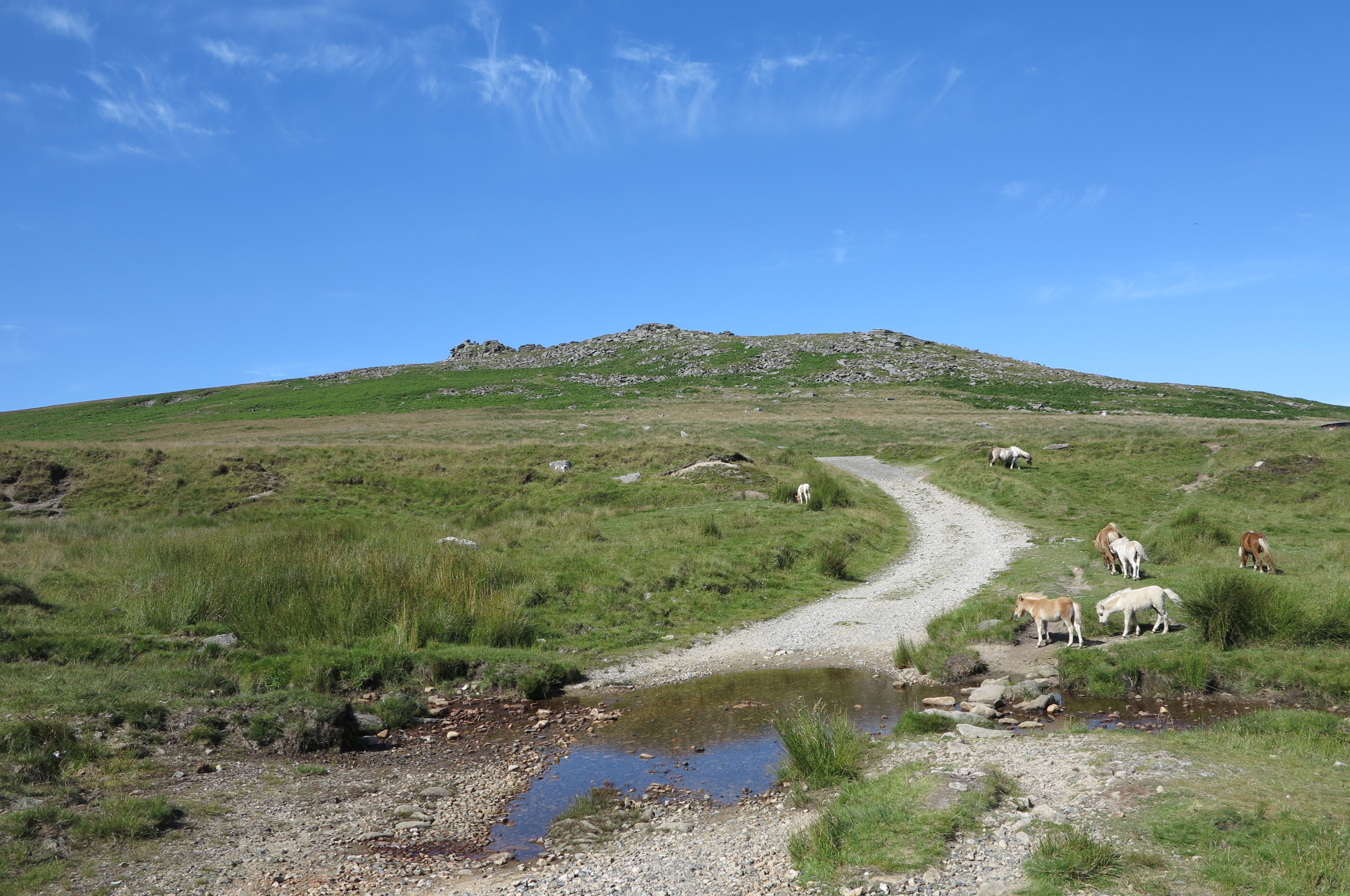 West Mill Tor Photos