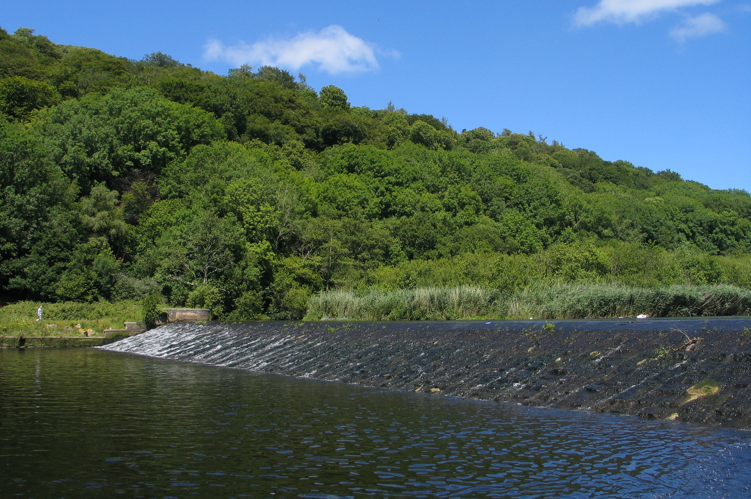 Lopwell Dam Photos