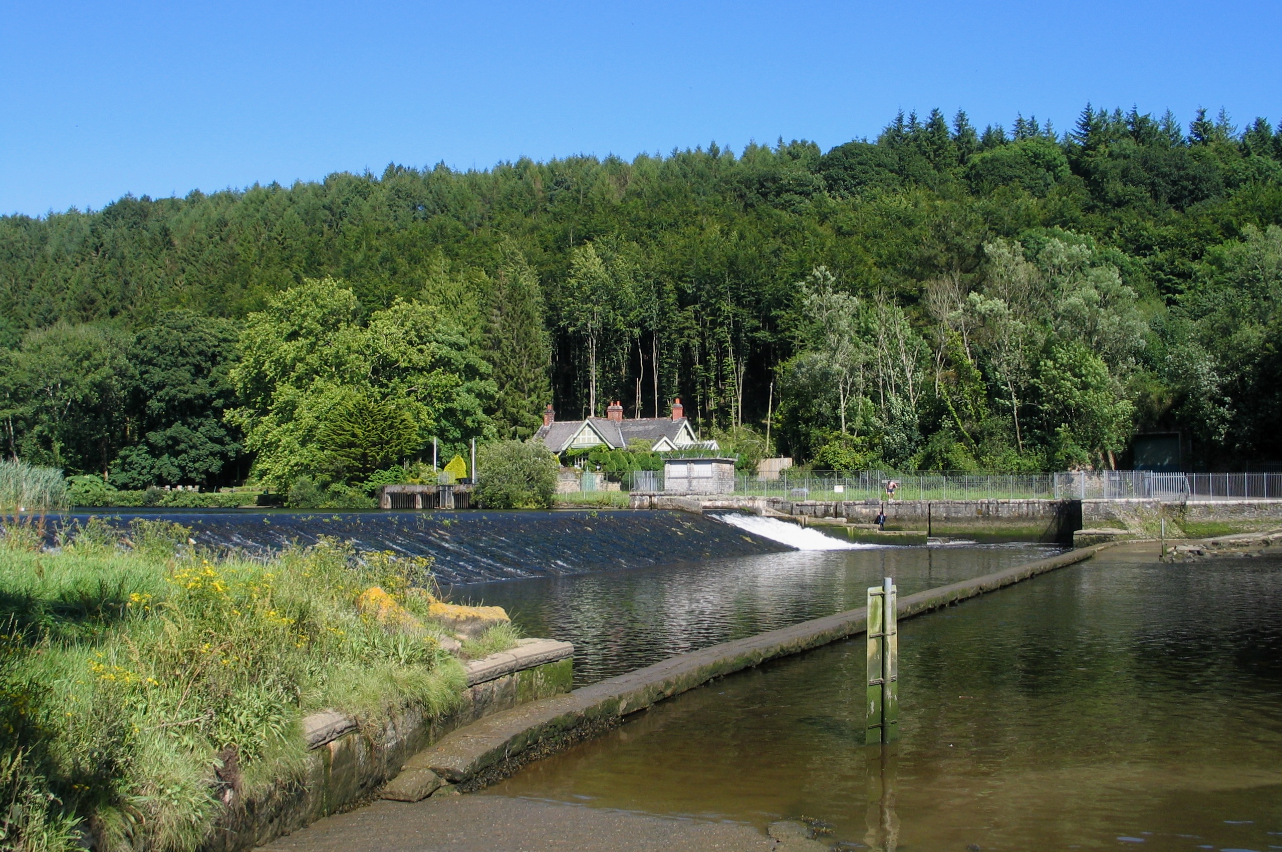 Lopwell Dam Photos