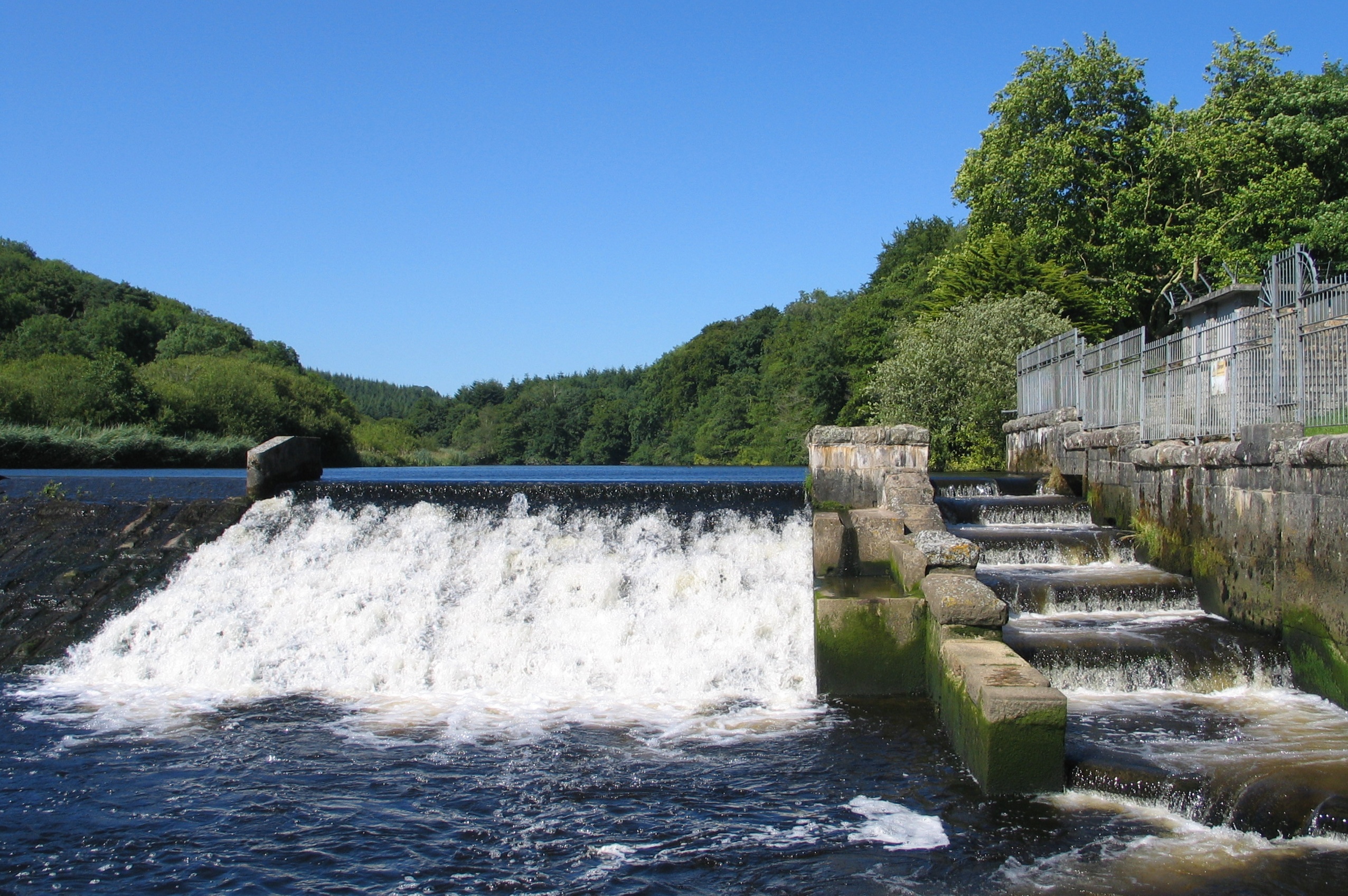 Lopwell Dam Photos
