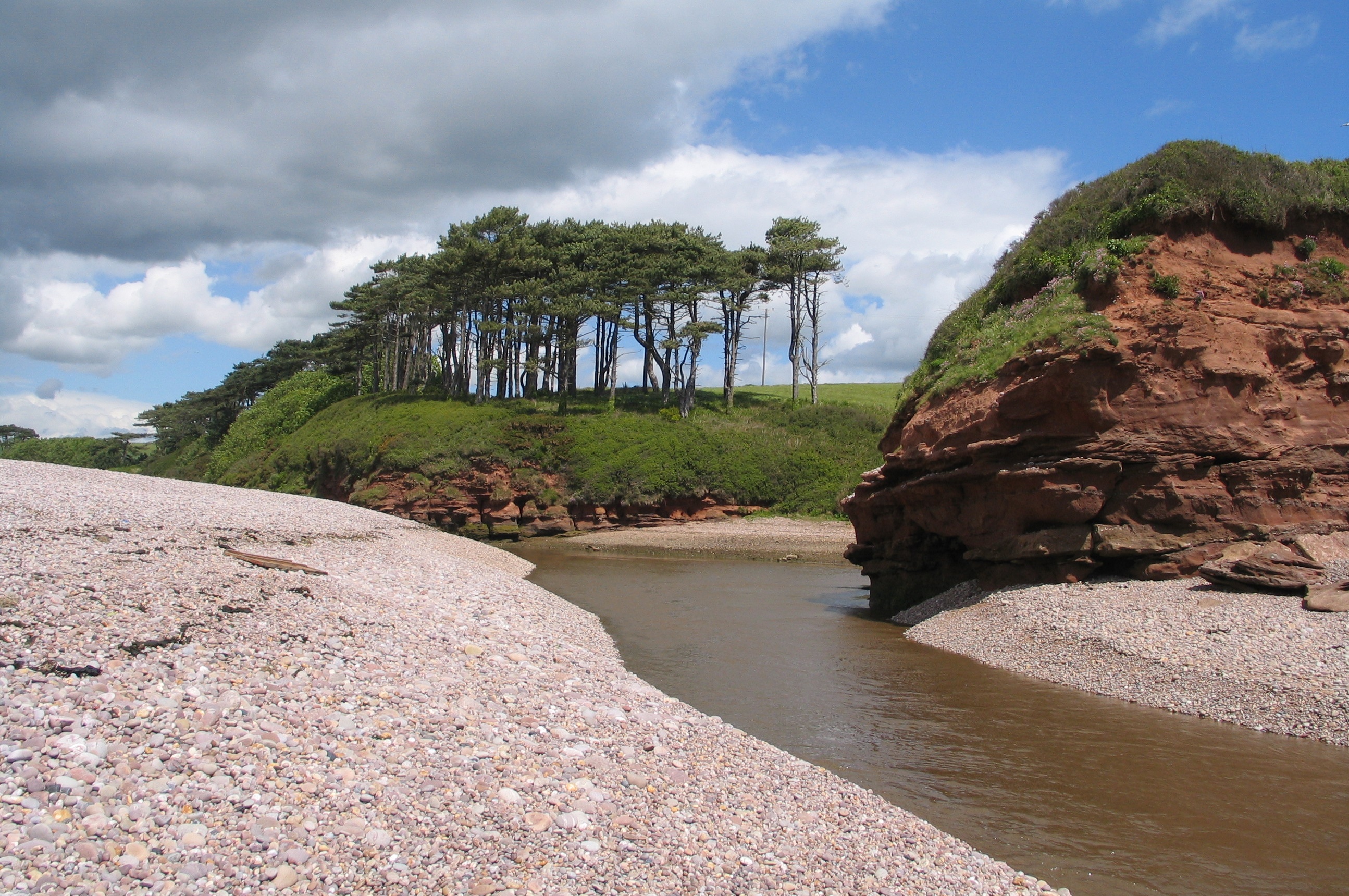 Otter Estuary Photos