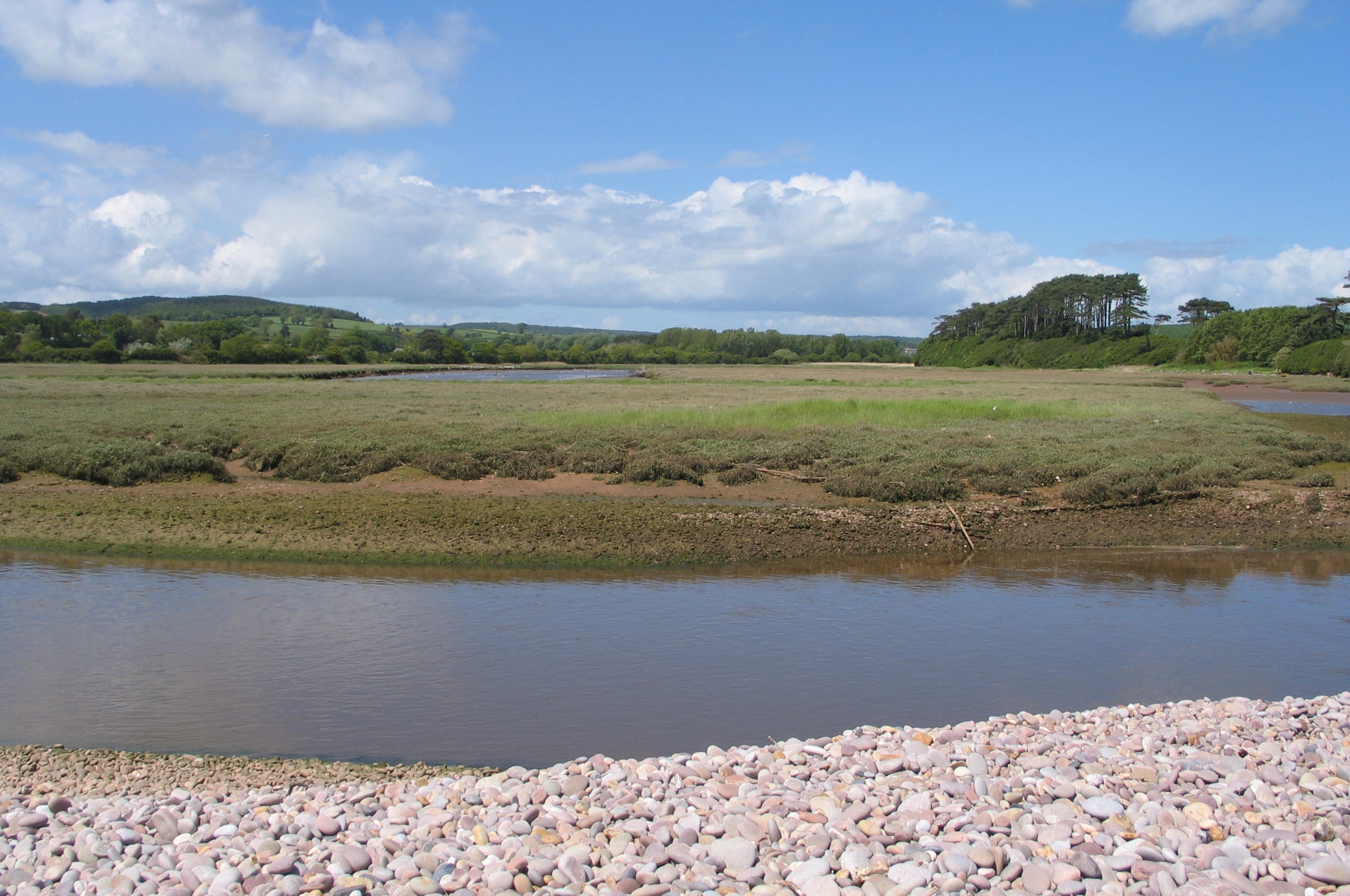 Otter Estuary Photos