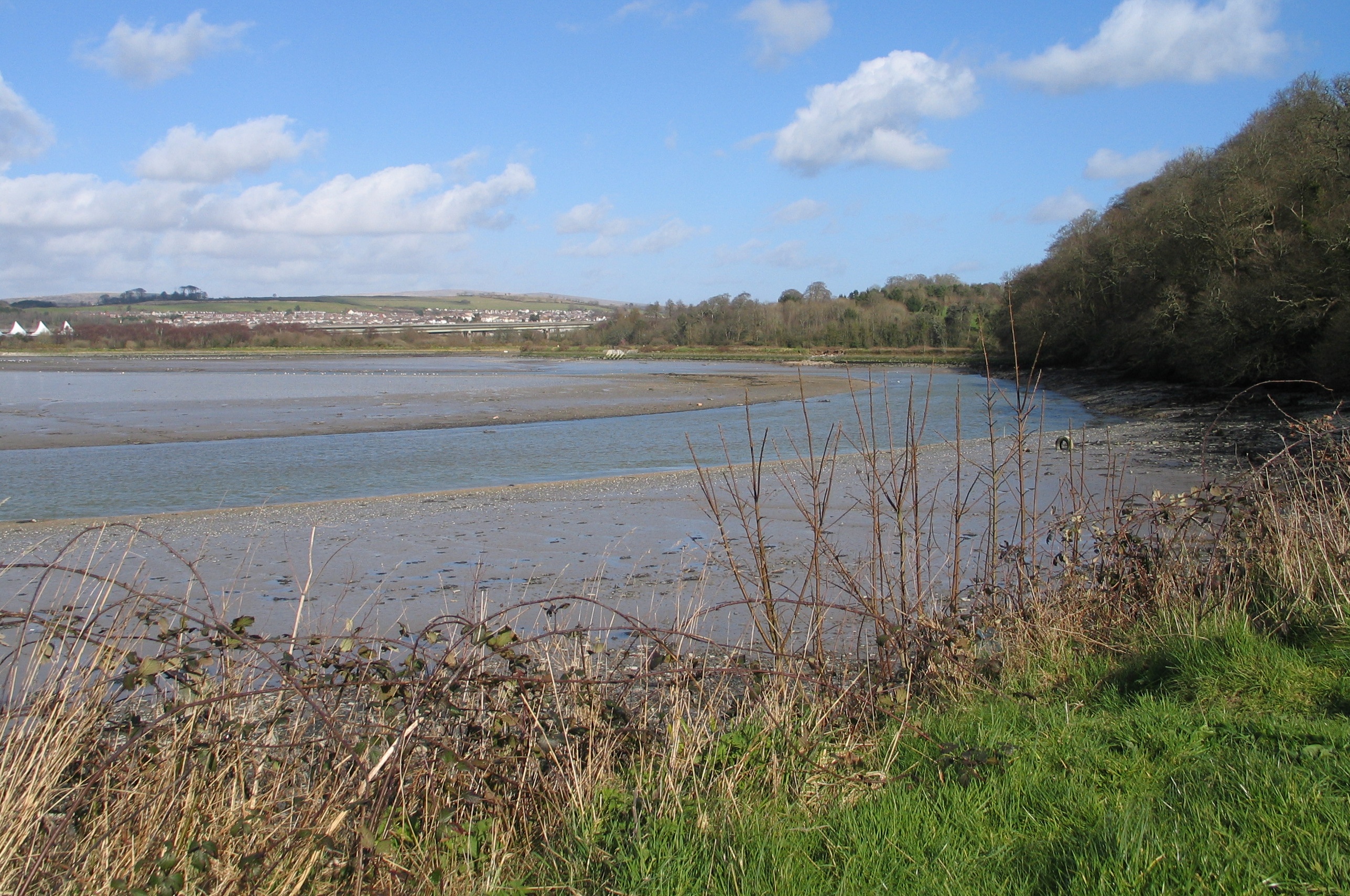 Plym Estuary Photos