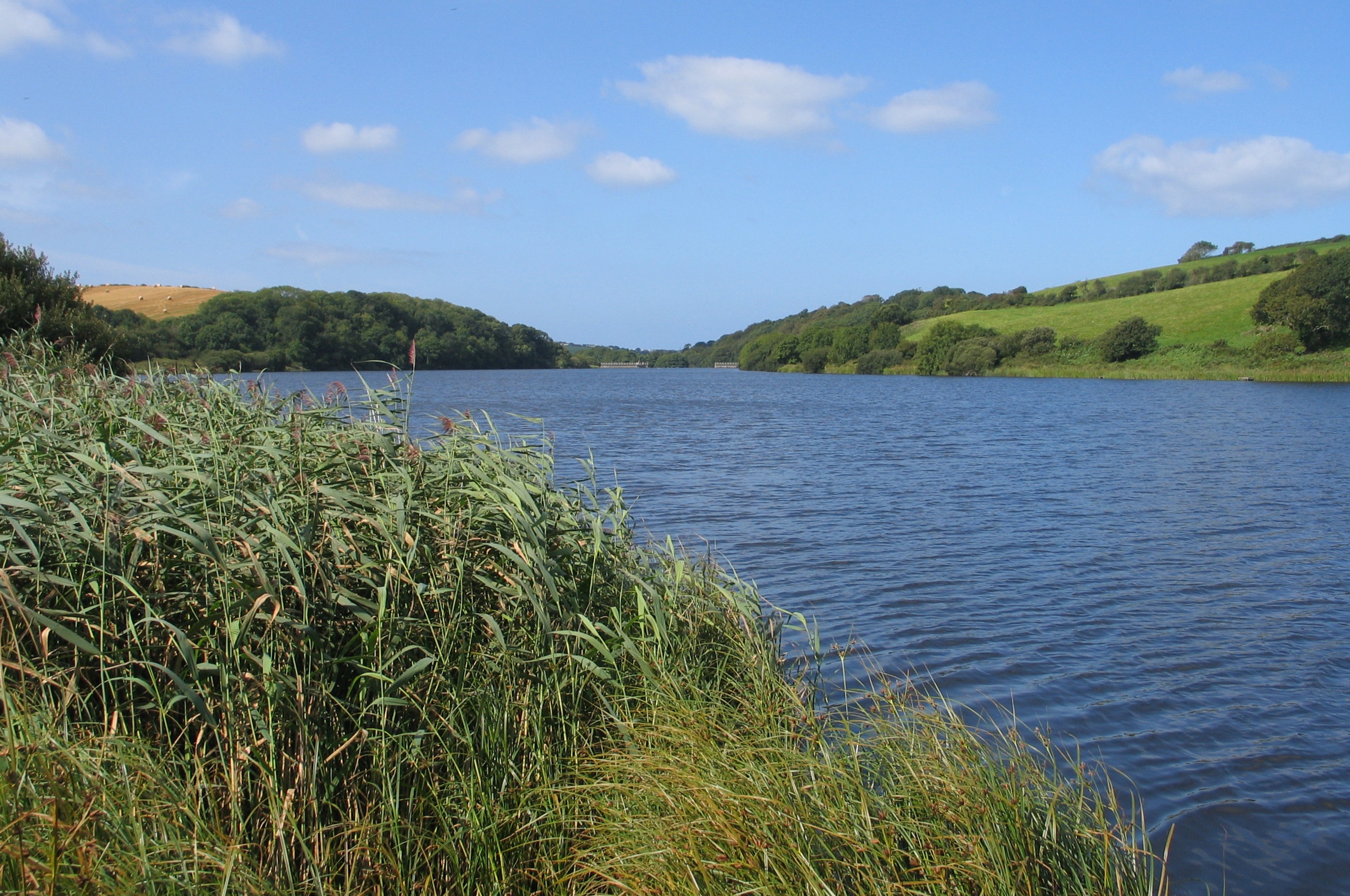Porth Reservoir Photos
