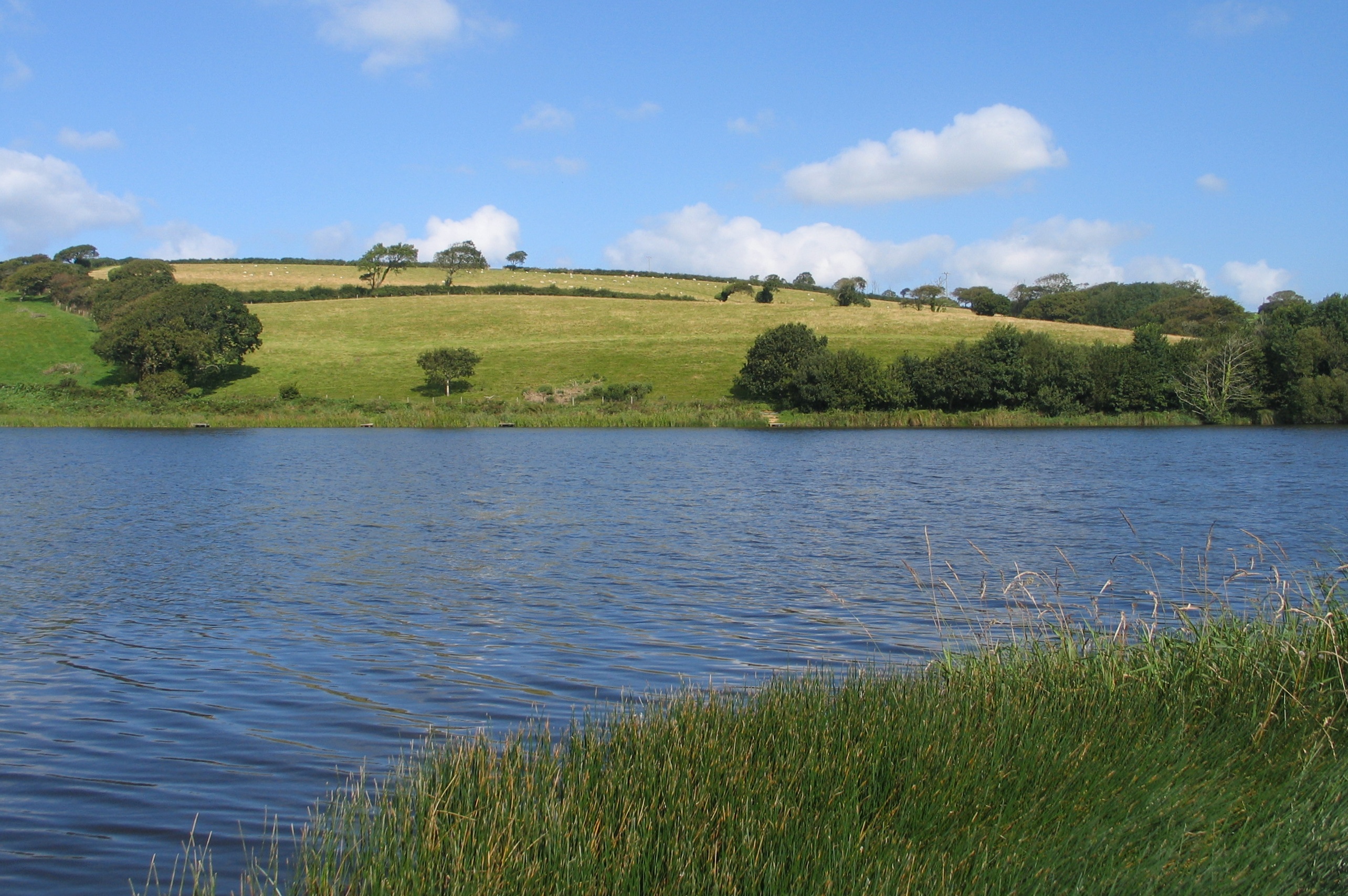 Porth Reservoir Photos