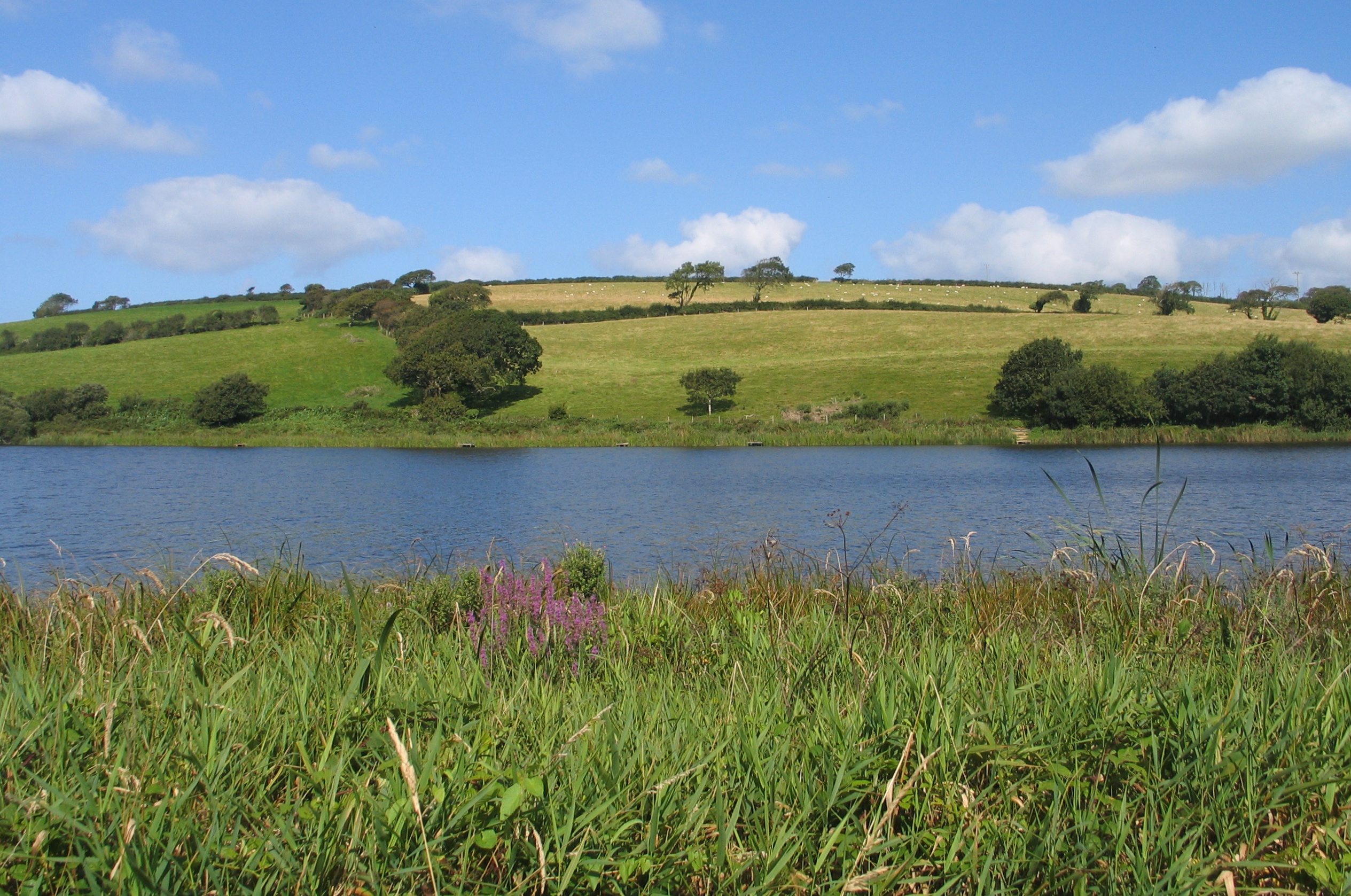 Porth Reservoir Photos
