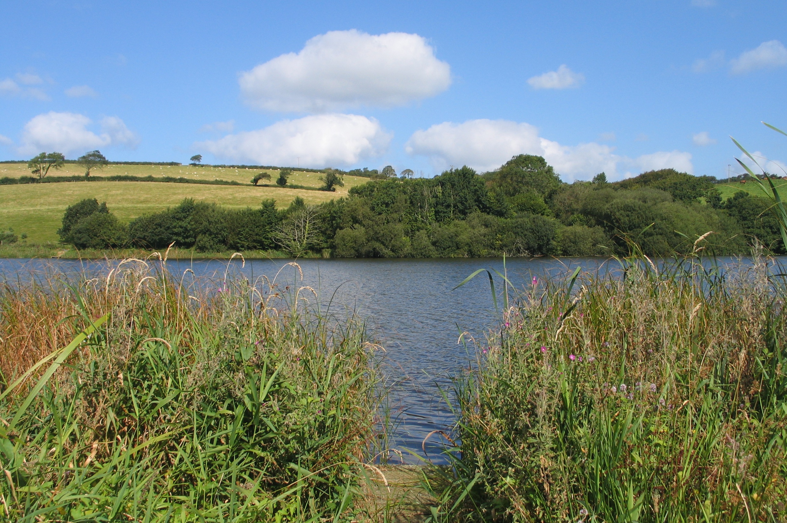 Porth Reservoir Photos