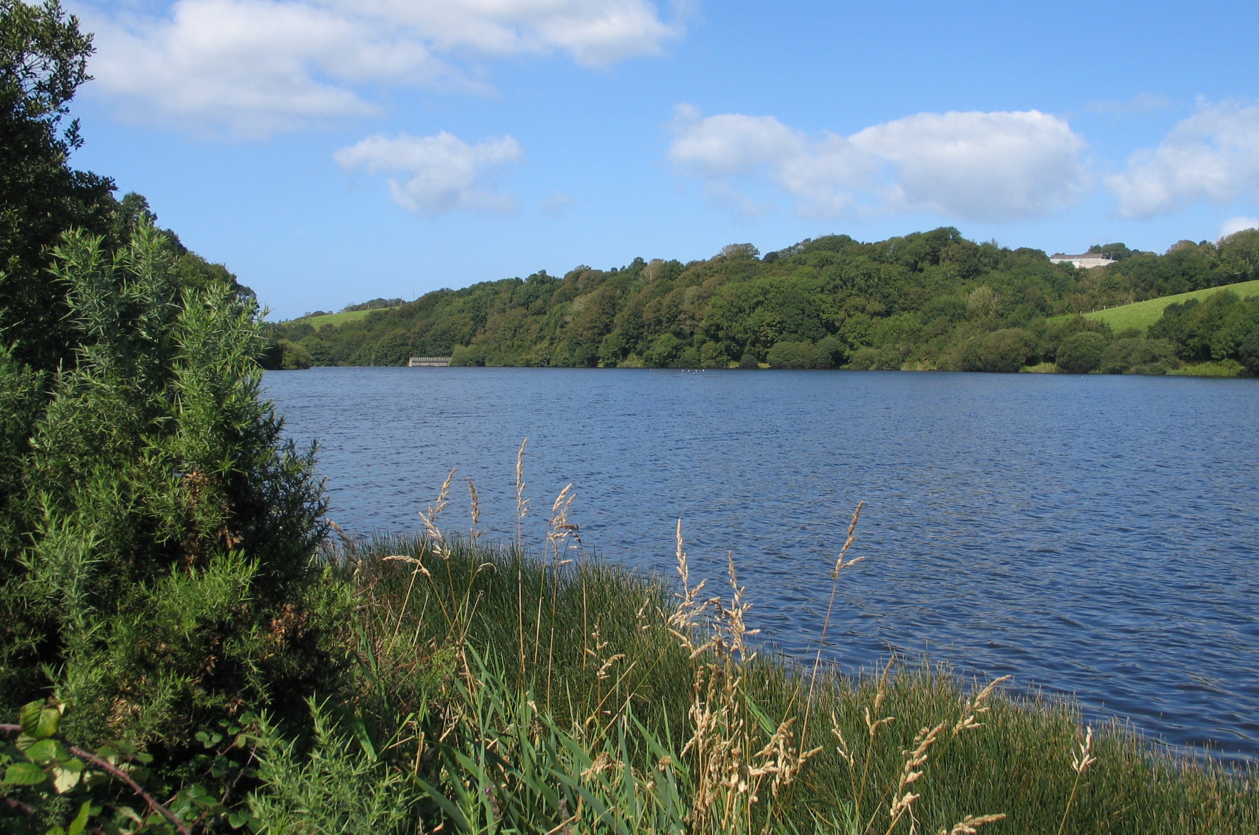 Porth Reservoir Photos