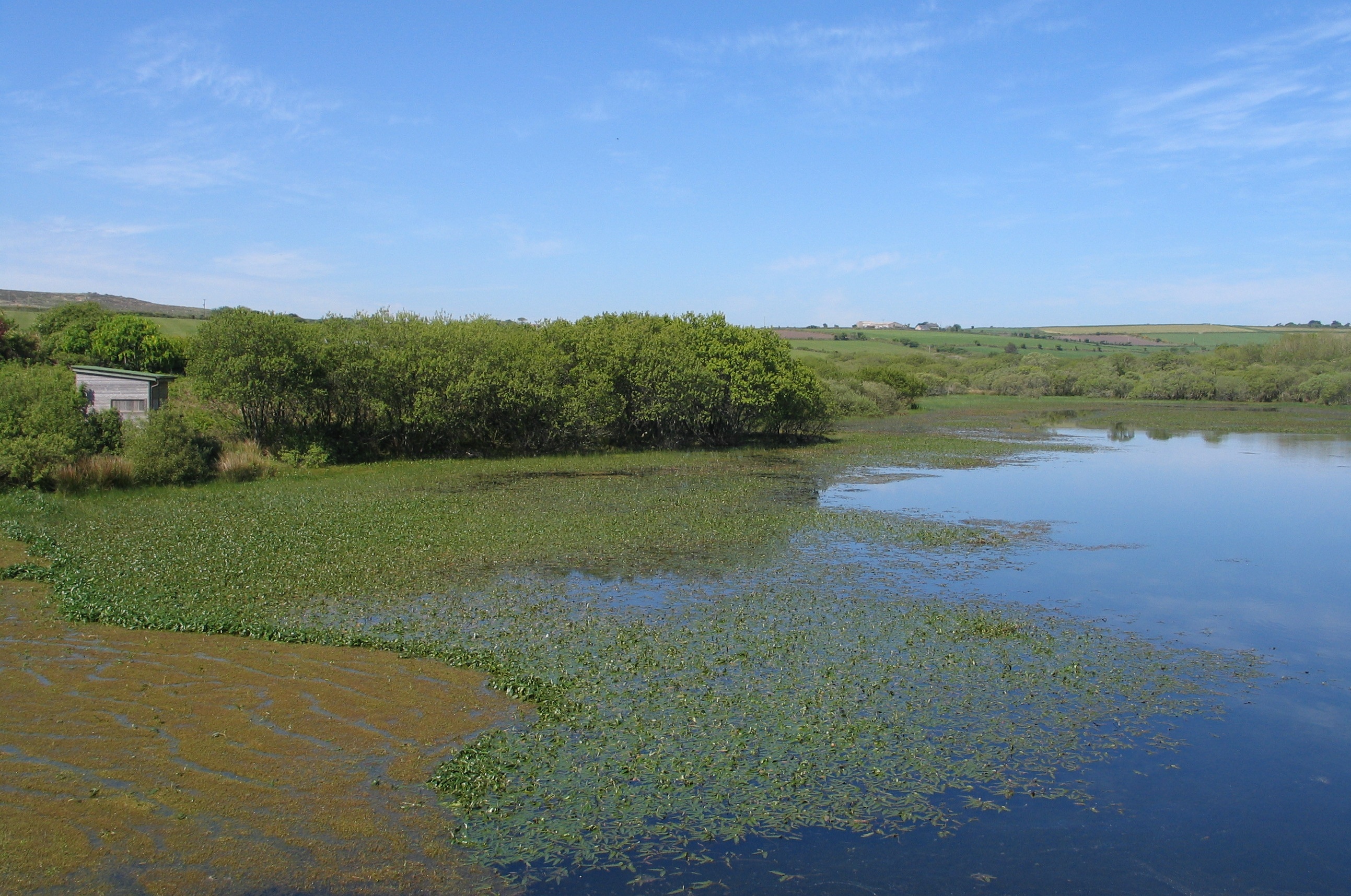 Stithians Lake Photos