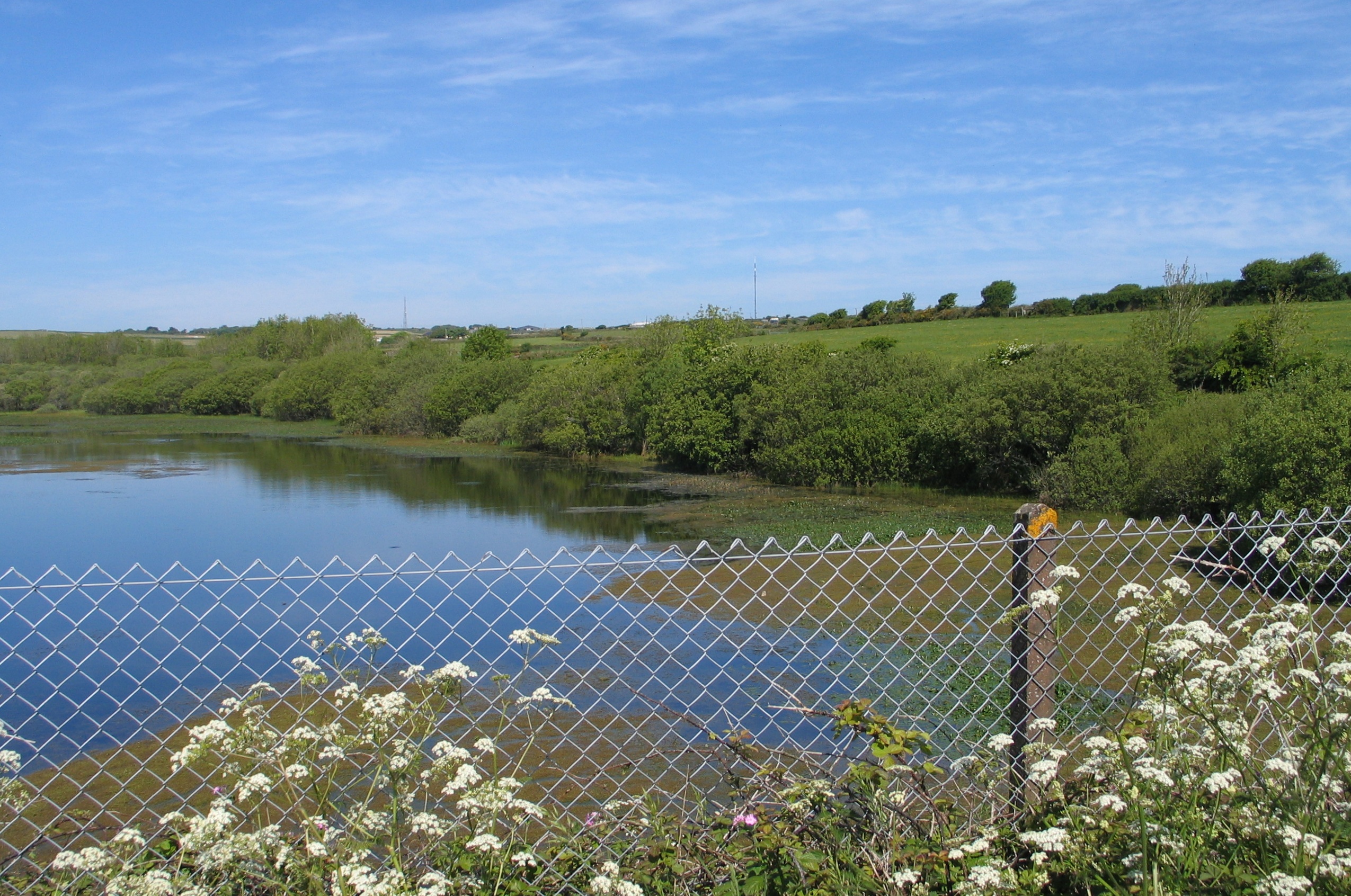Stithians Lake Photos