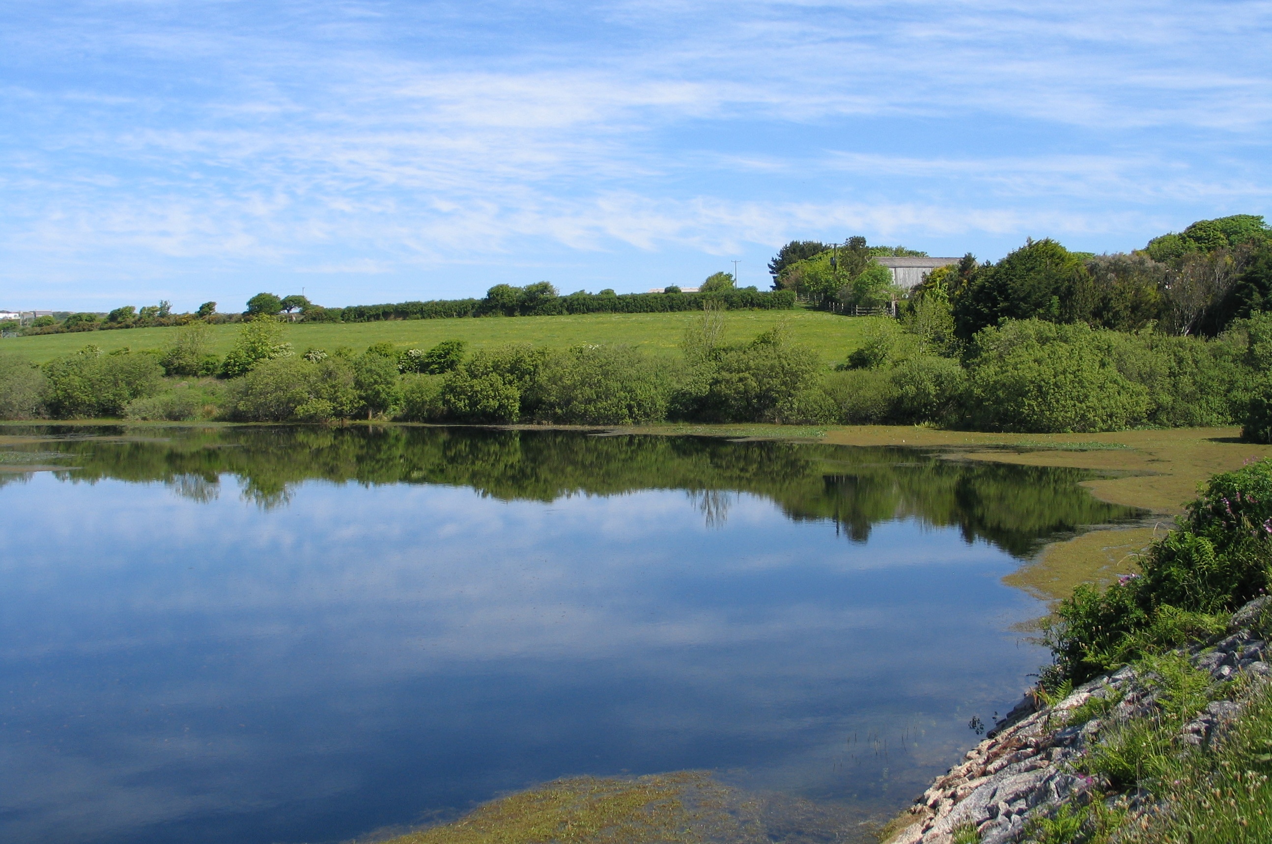 Stithians Lake Photos