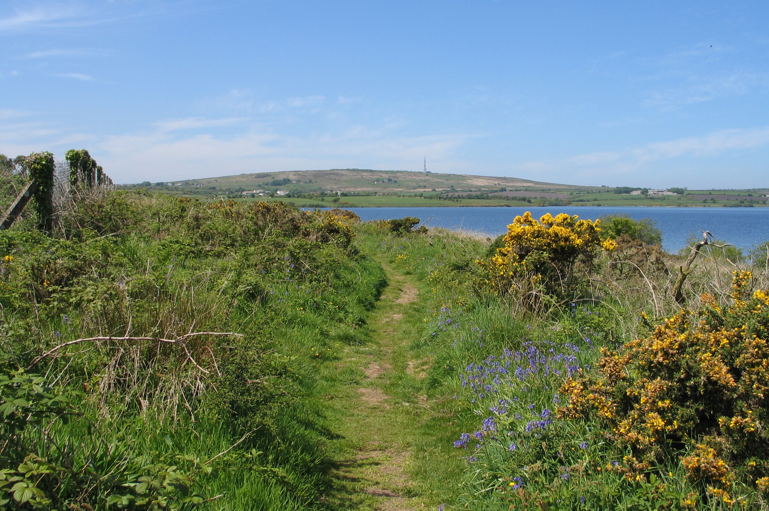 Stithians Lake Photos