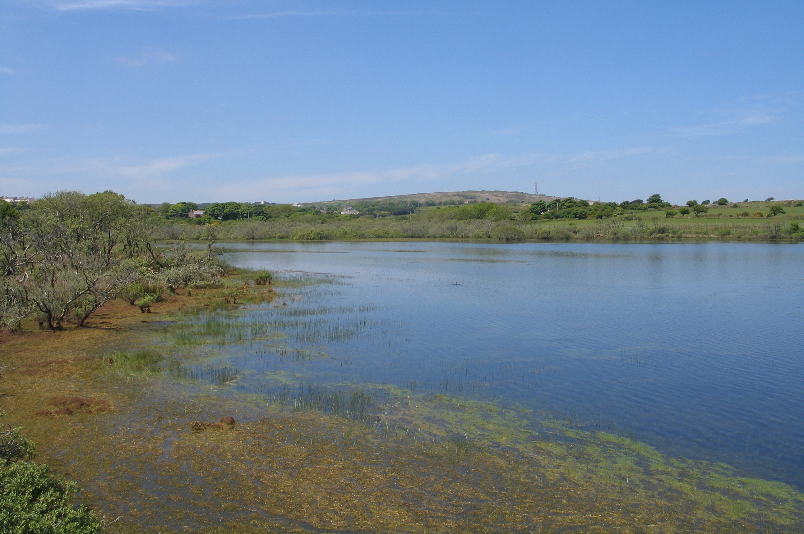 Stithians Lake Photos