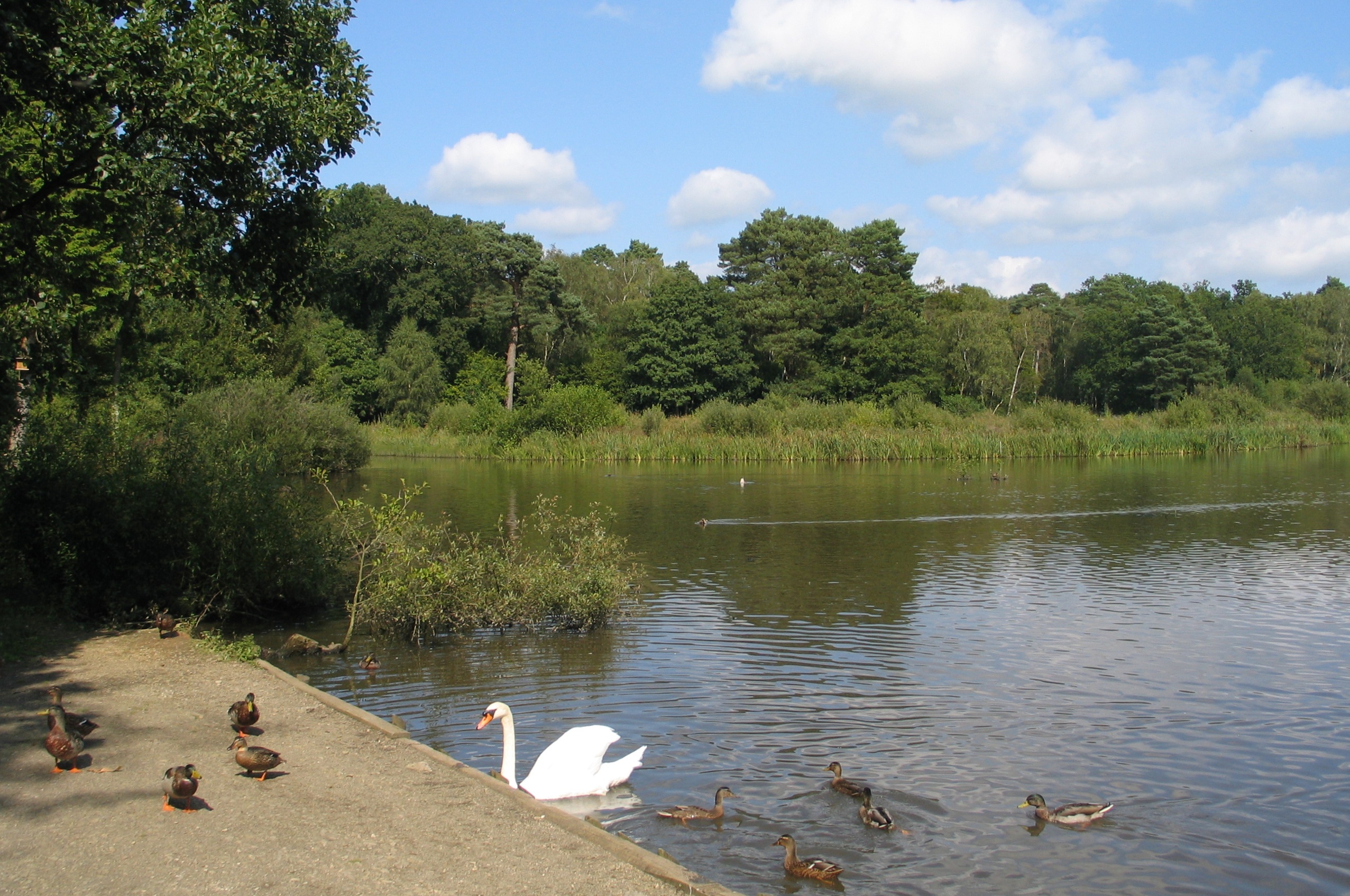 Stover Photos