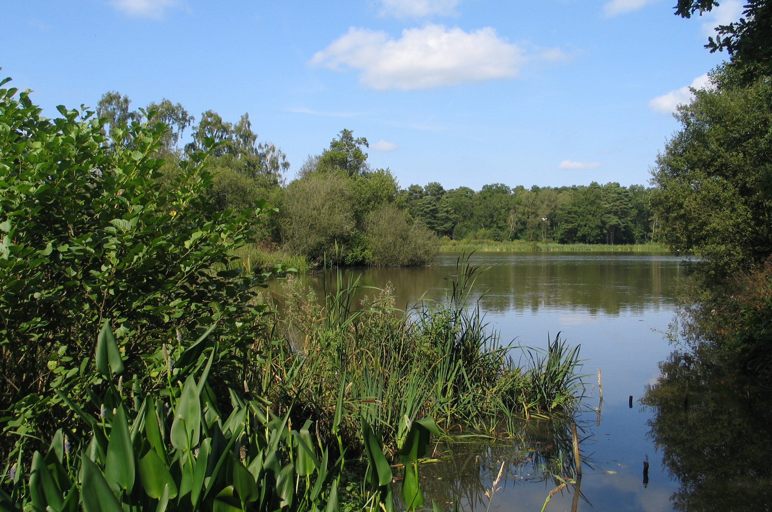 Stover Photos