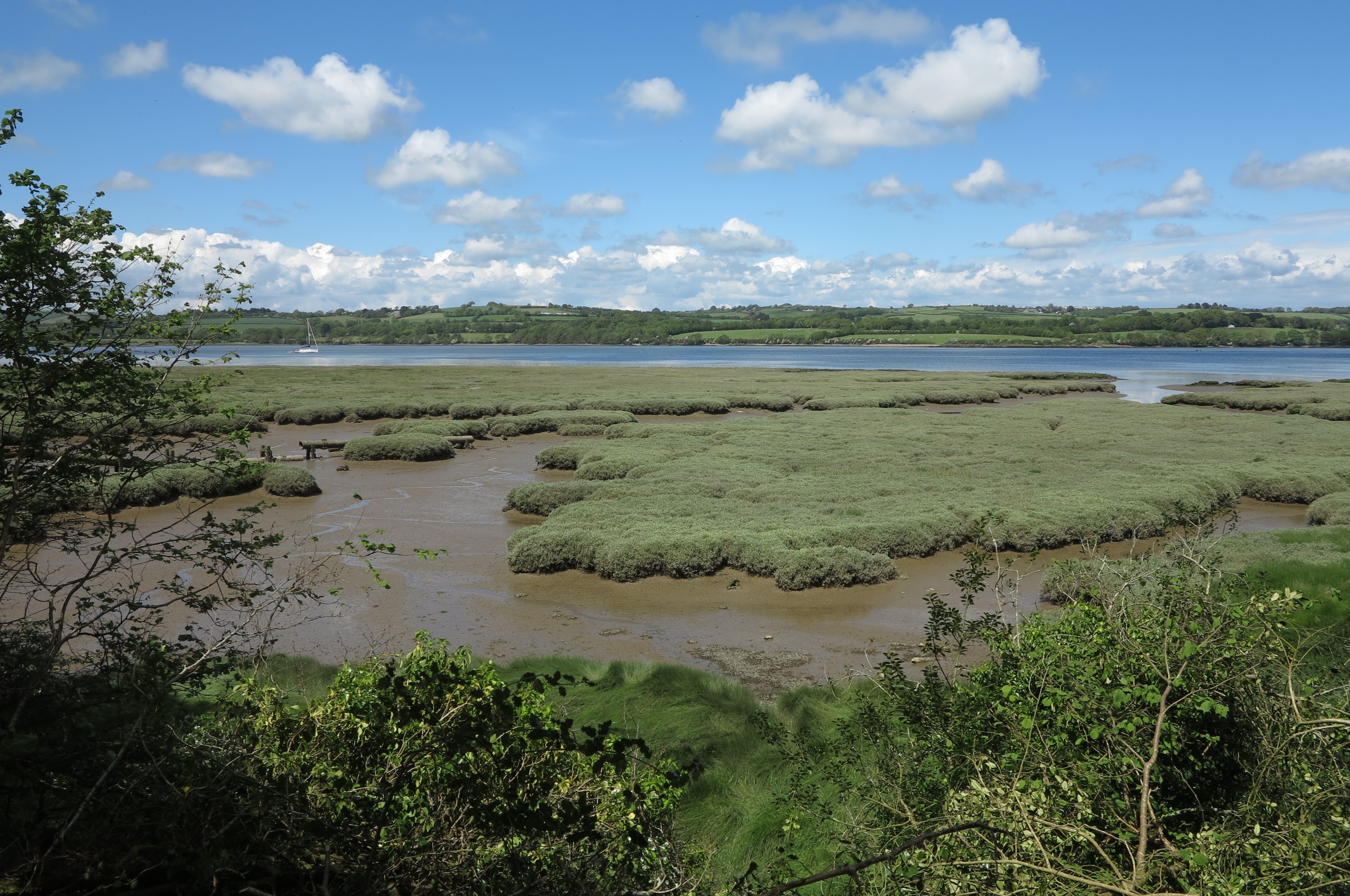 Wacker Quay Photos