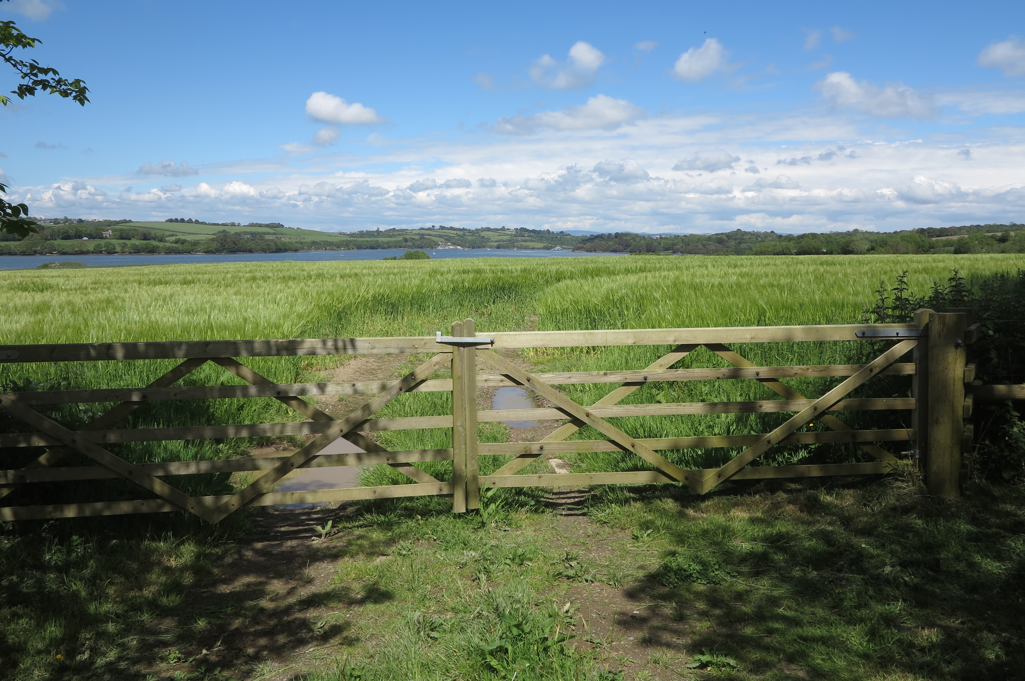 Wacker Quay Photos