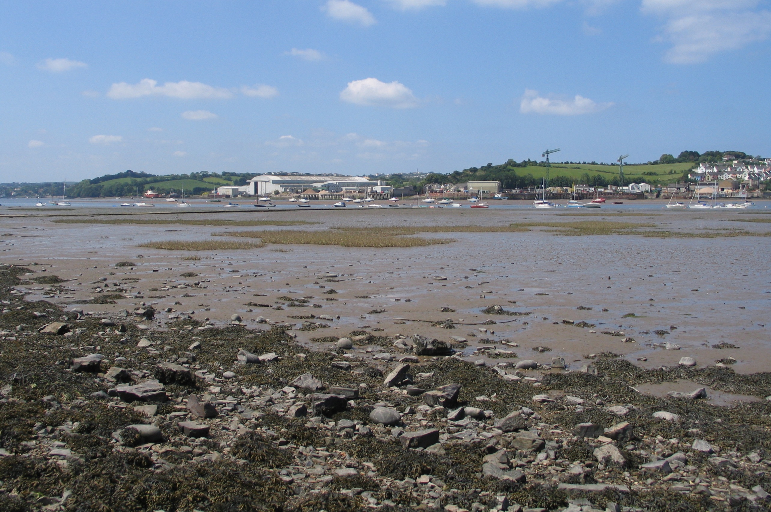 Appledore Photos