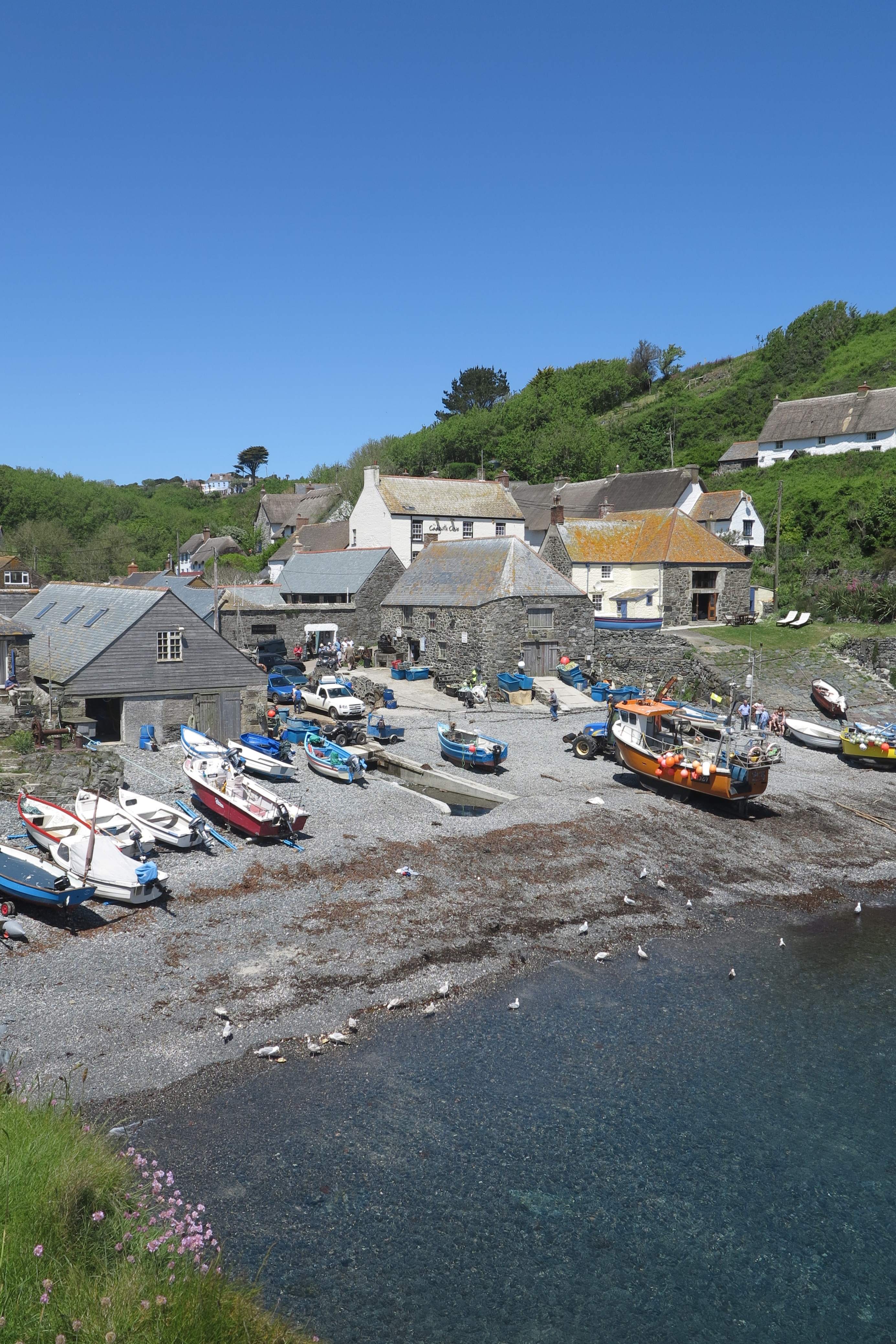 Cadgwith Photos
