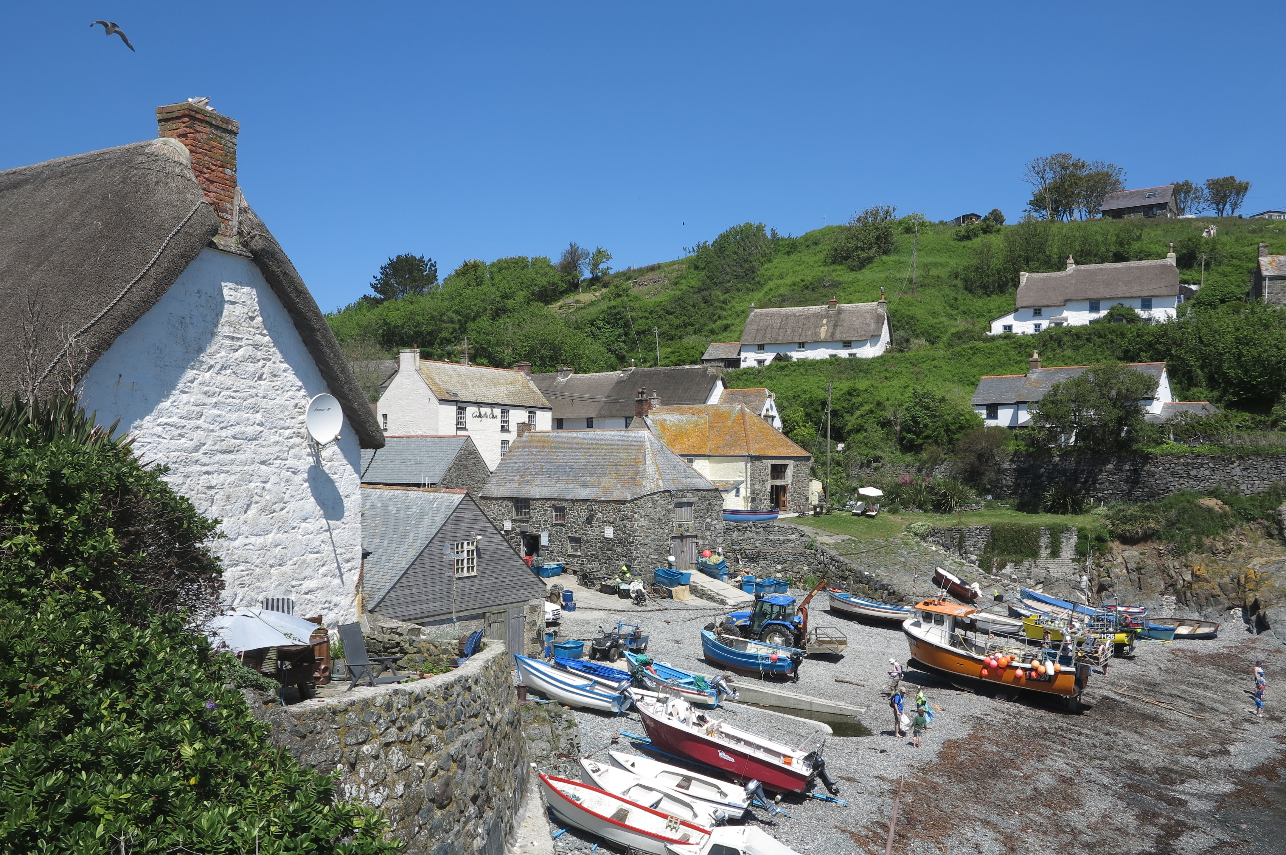 Cadgwith Photos