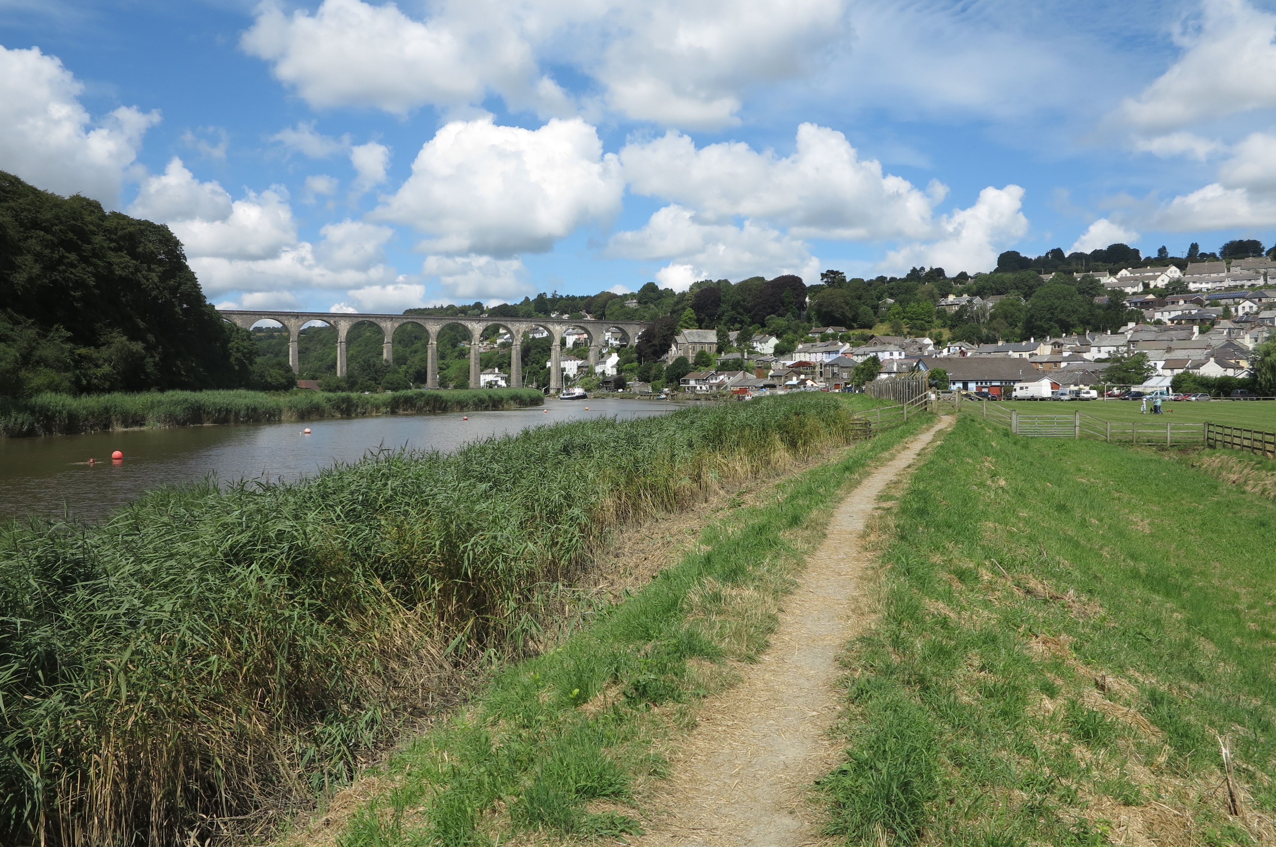 Calstock Photos