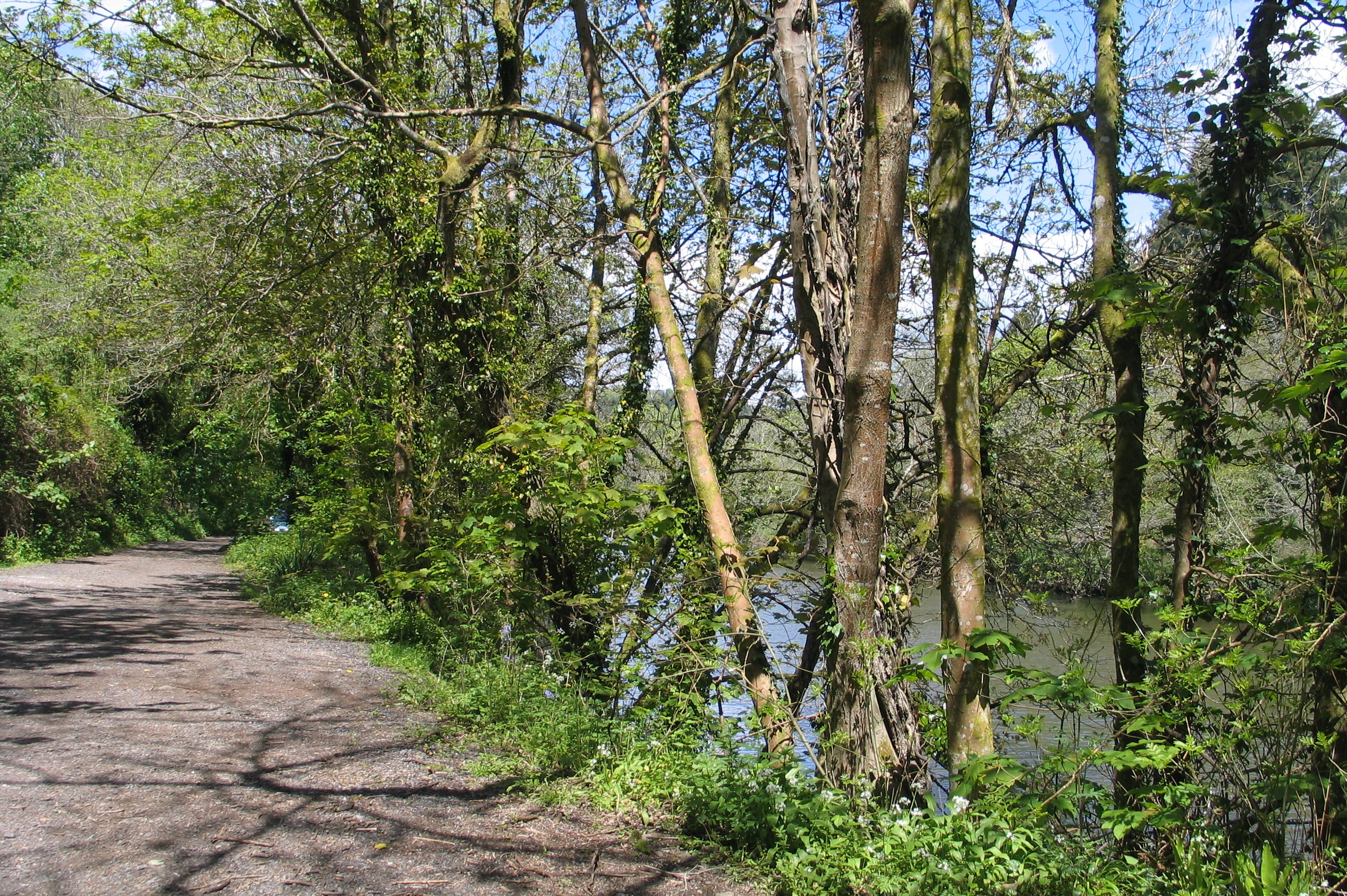 Gunnislake Photos