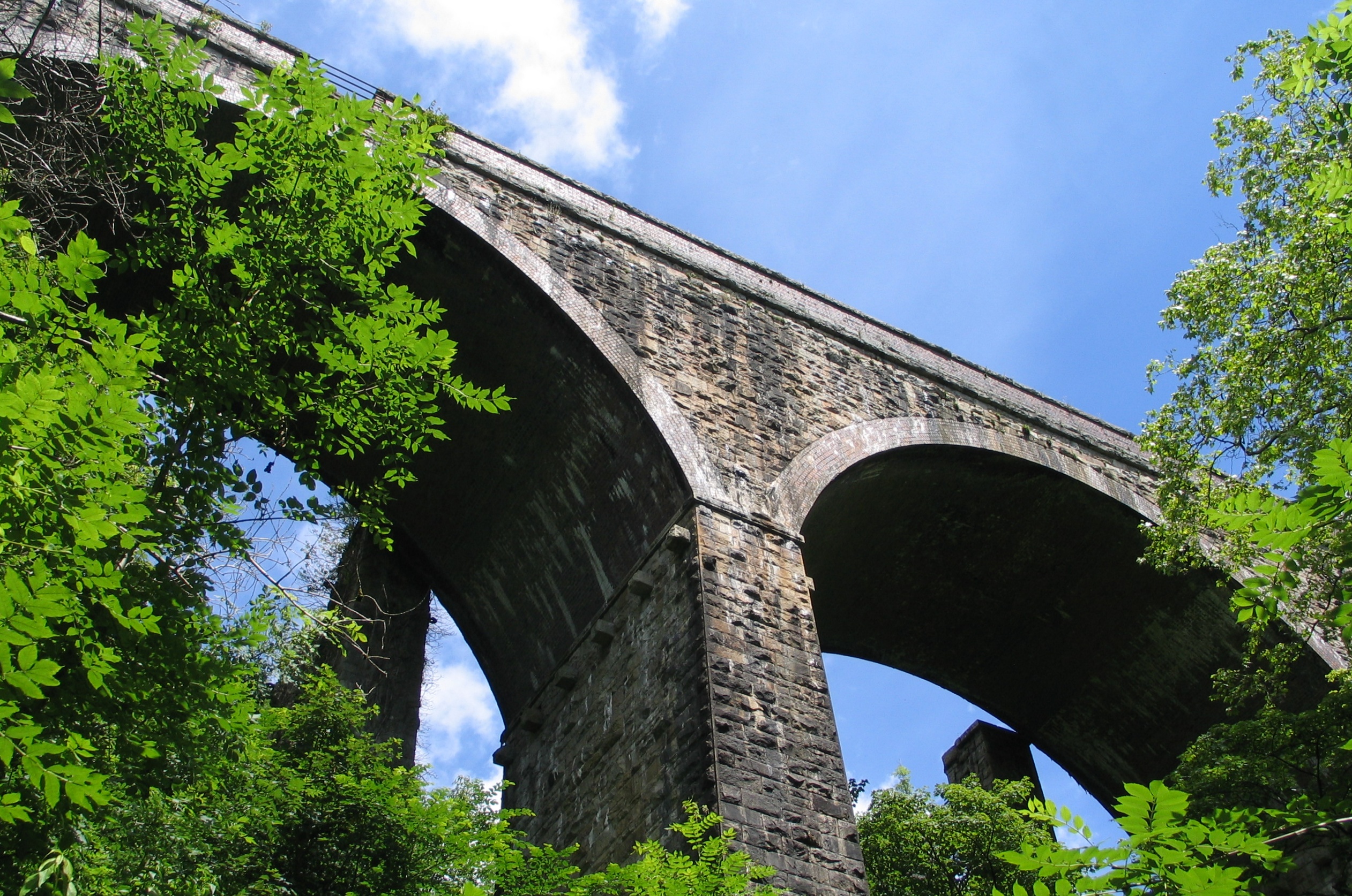 Ivybridge Photos